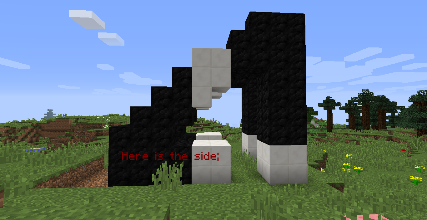 Black Cat Minecraft Statue : 4 Steps - Instructables