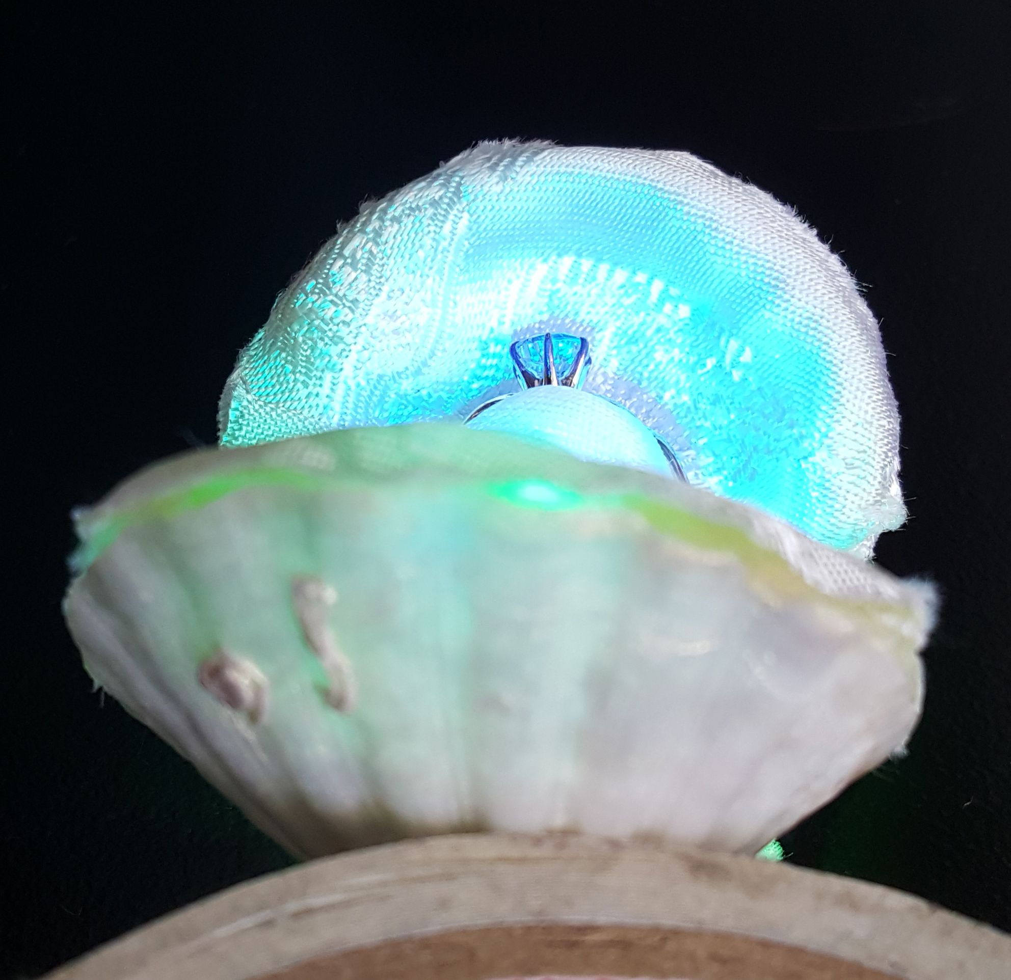 LED-illuminated Seashell Engagement Ring Box : 9 Steps (with Pictures ...