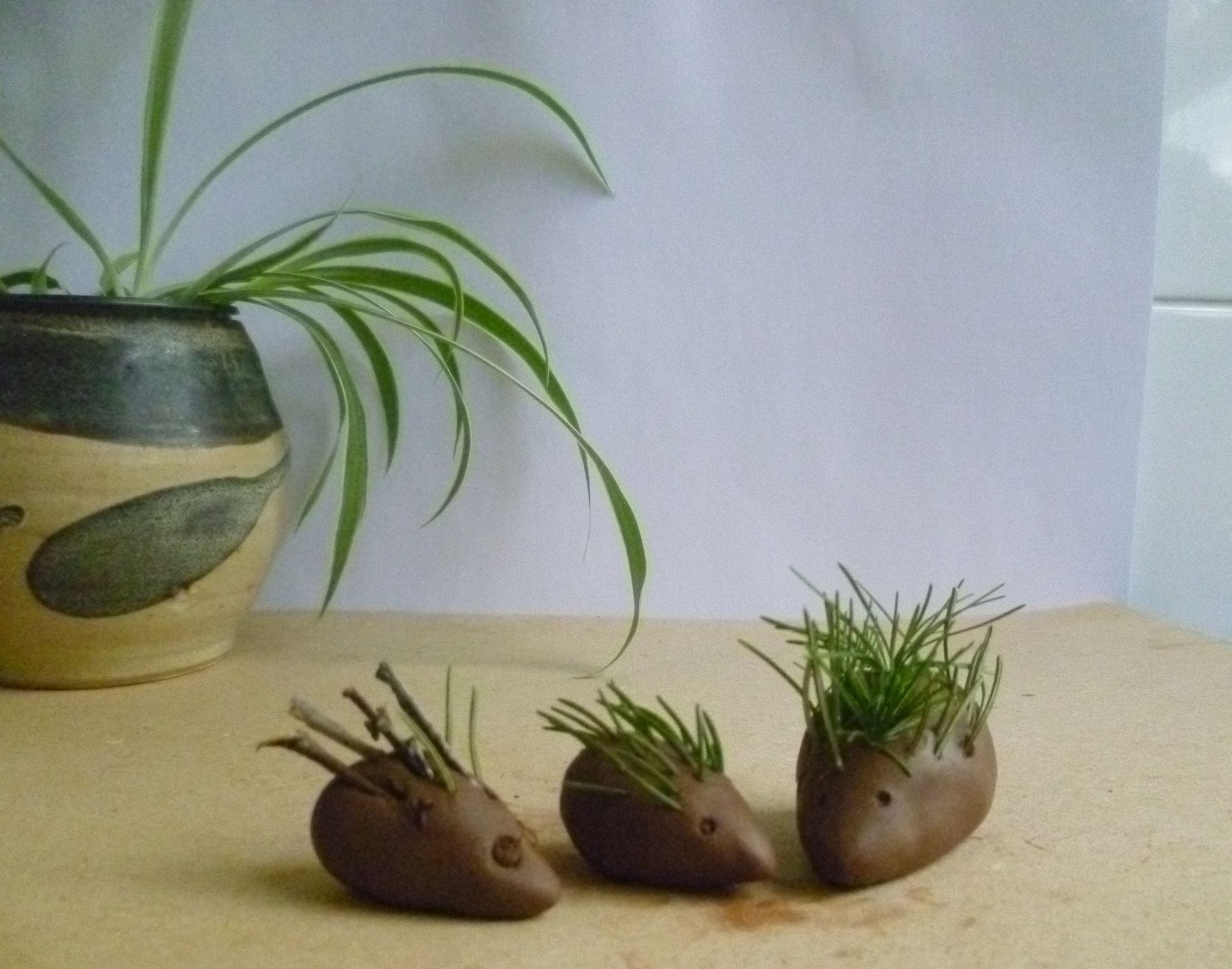 Clay Modelling - Woodland Creatures : 10 Steps (with Pictures ...