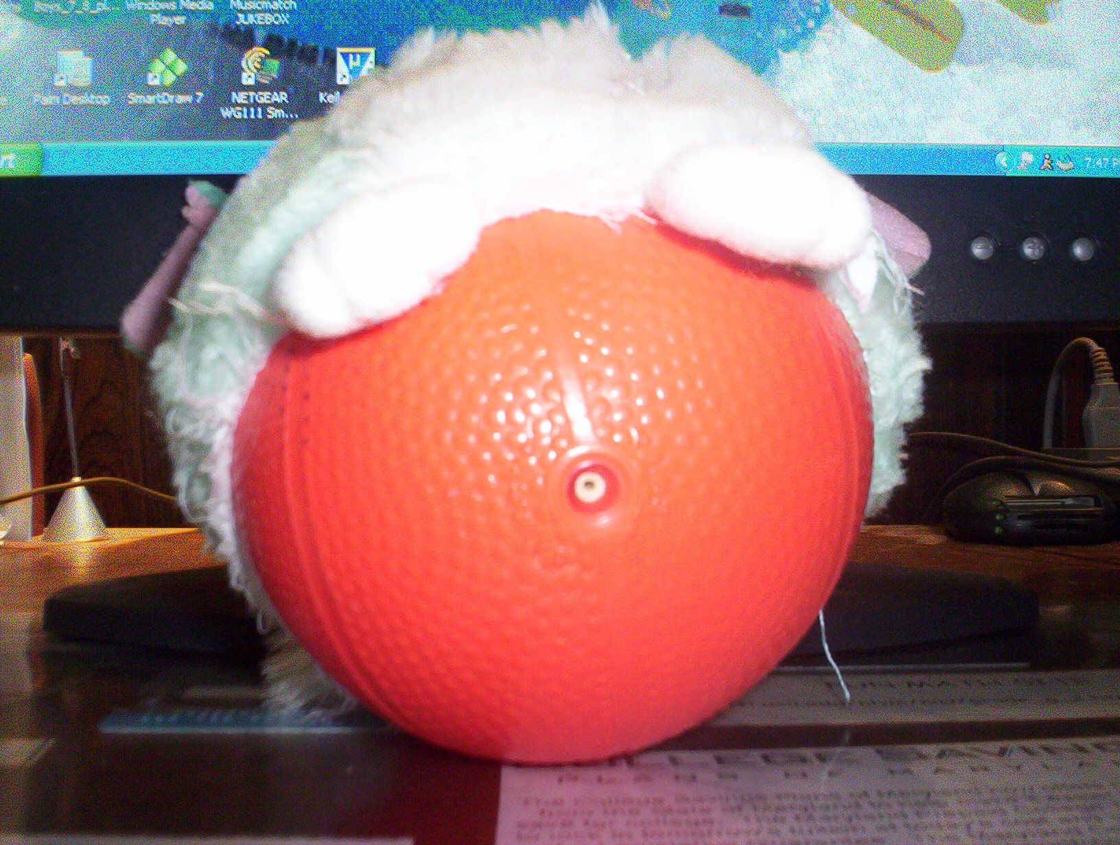 Furball : 3 Steps - Instructables