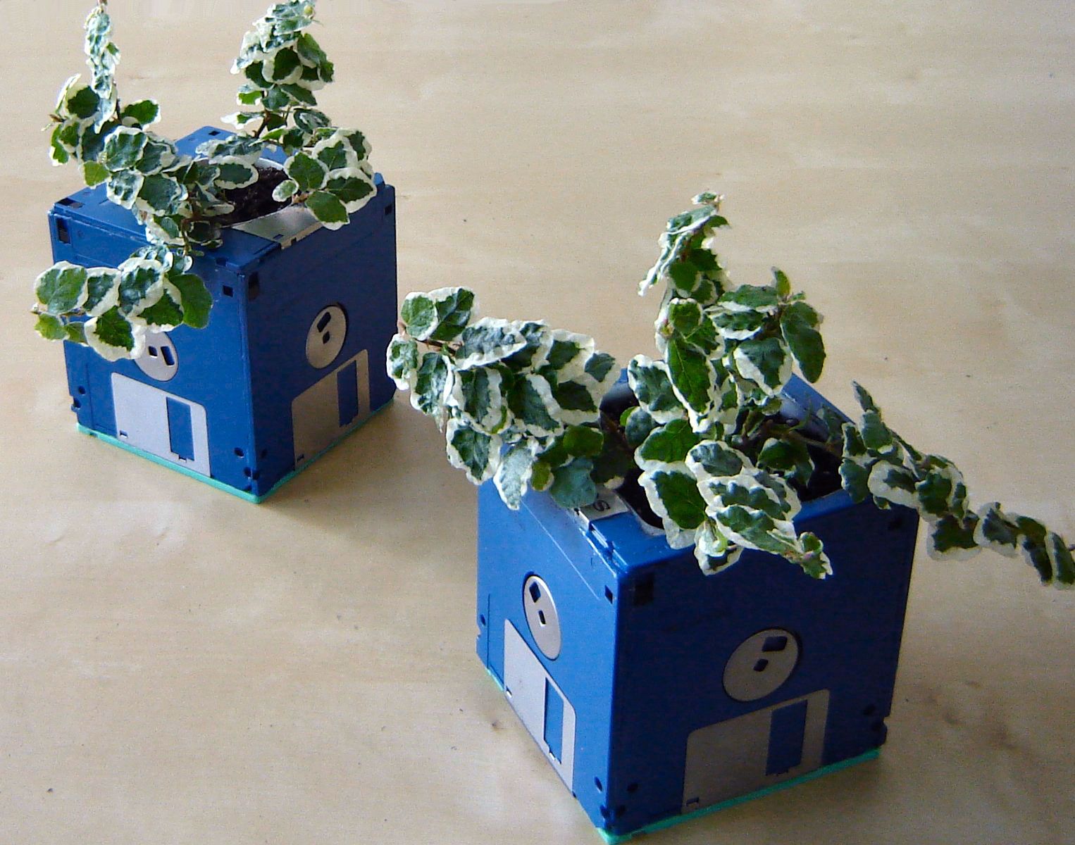 Floppy Disk Planter : 9 Steps (with Pictures) - Instructables