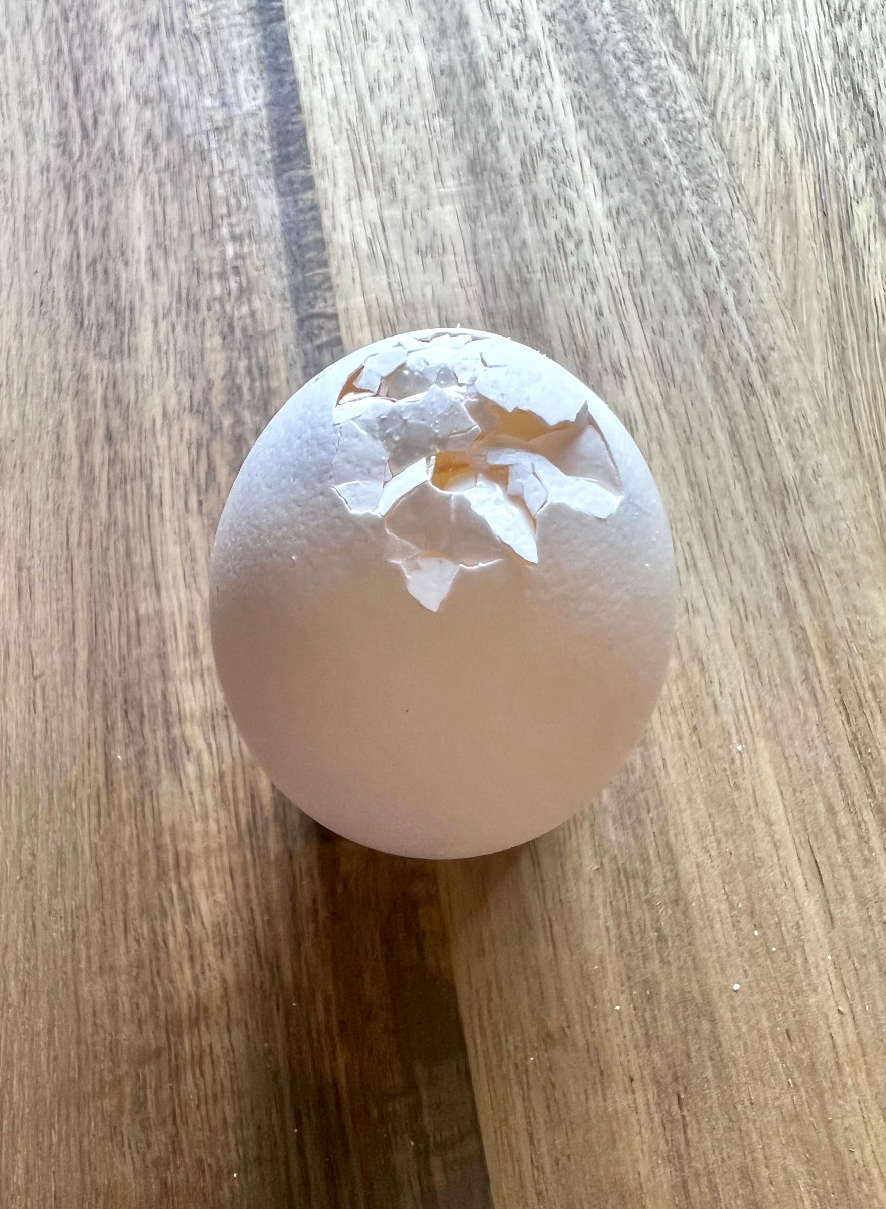 Egg Shell Planters : 5 Steps - Instructables