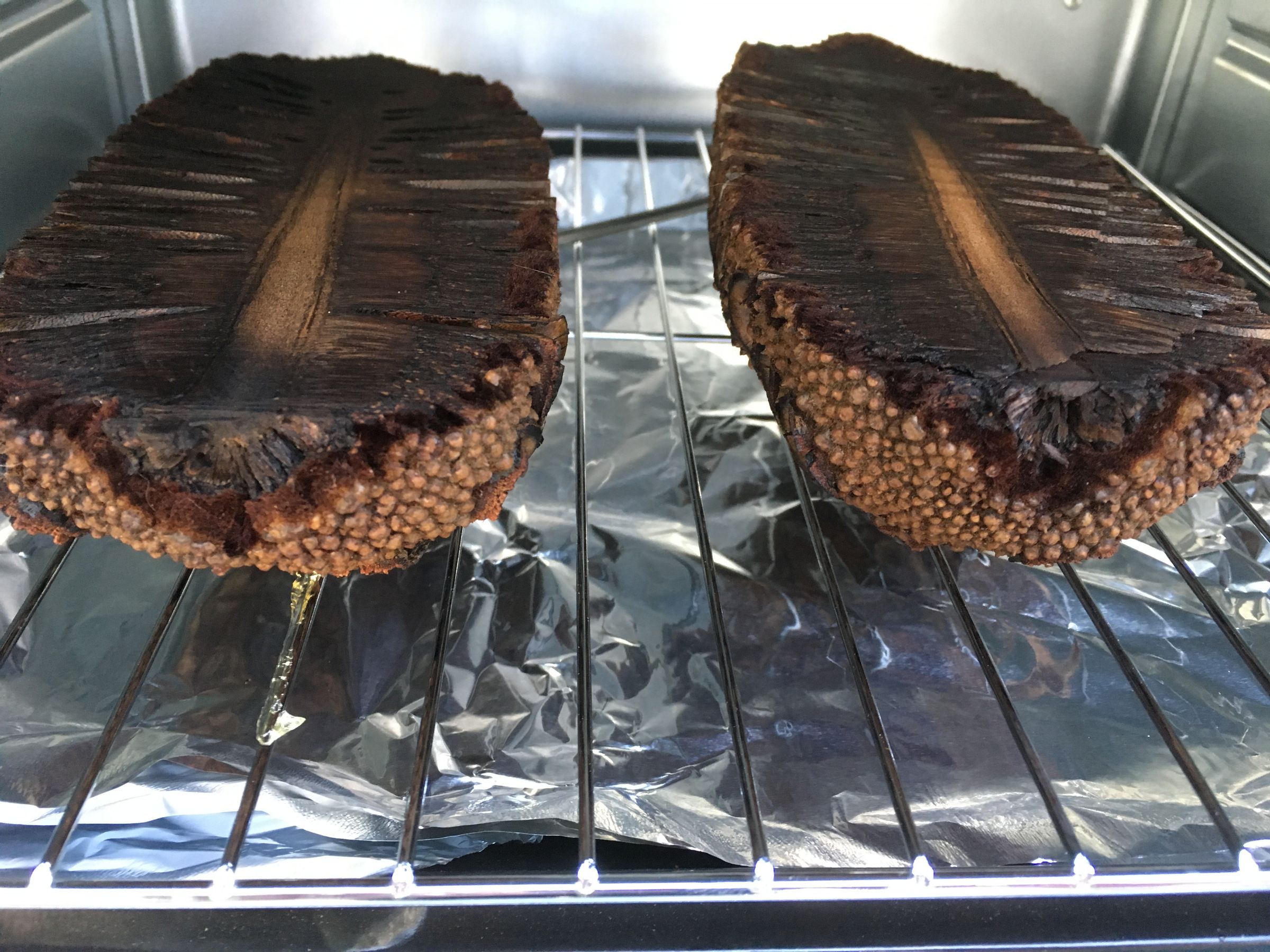 Banksia Nut Epoxy Cast : 6 Steps - Instructables