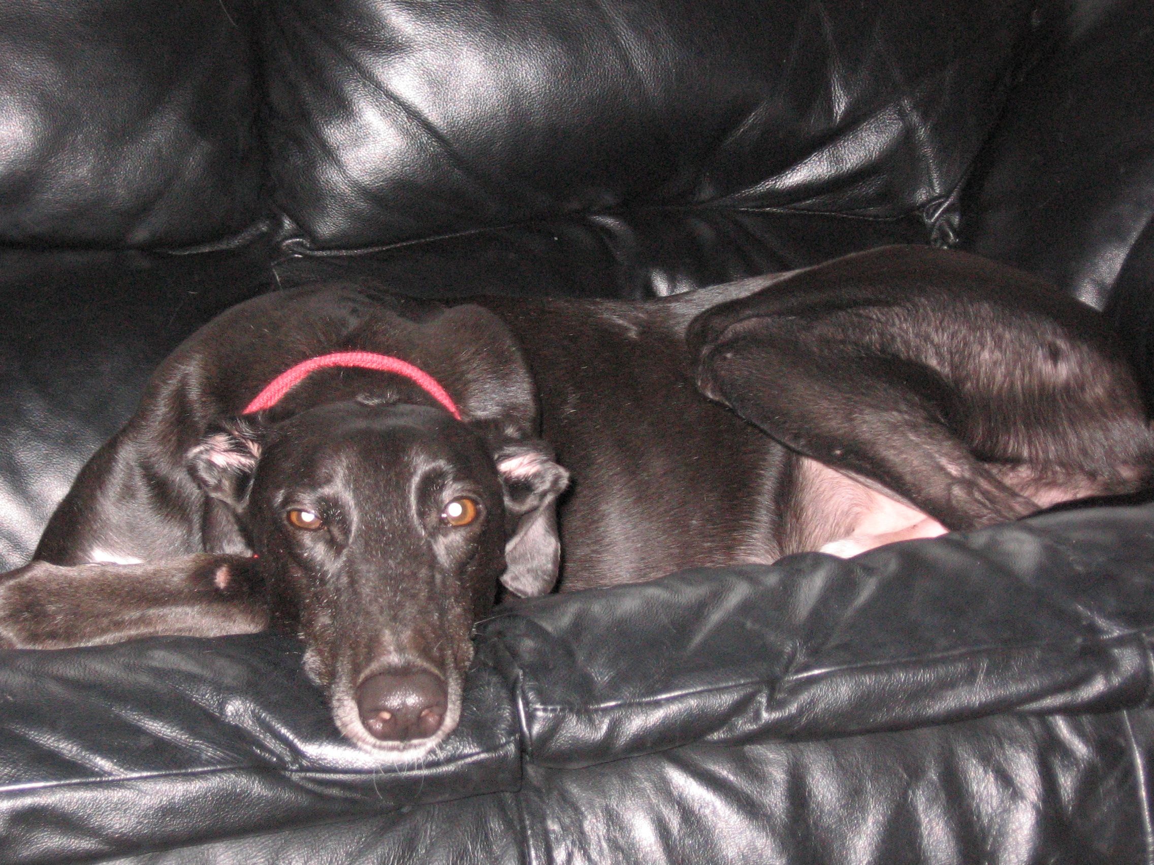 RadBear's Cost Cutting Tips : 6 Steps - Instructables