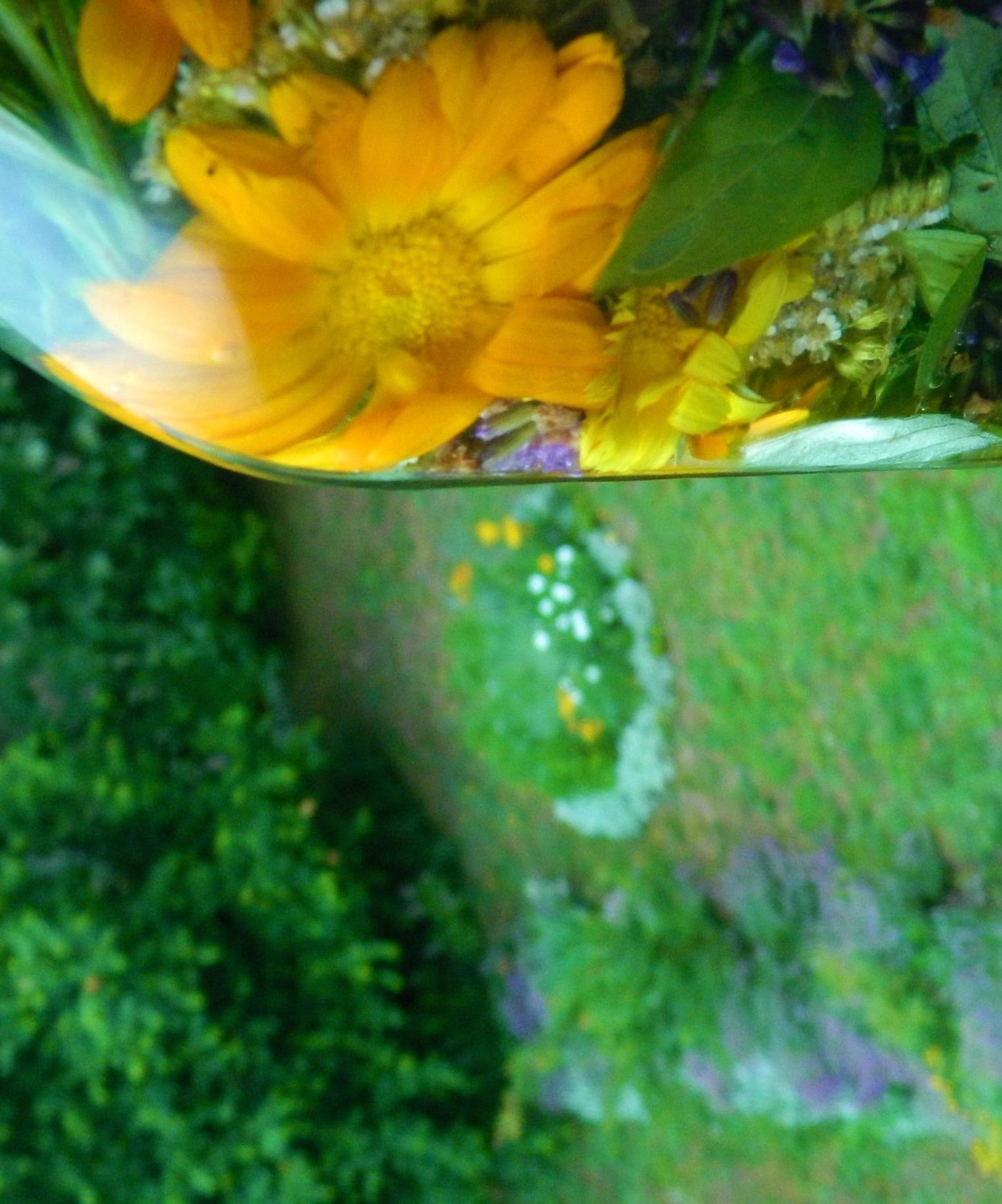 FLORAL OIL : 8 Steps (with Pictures) - Instructables