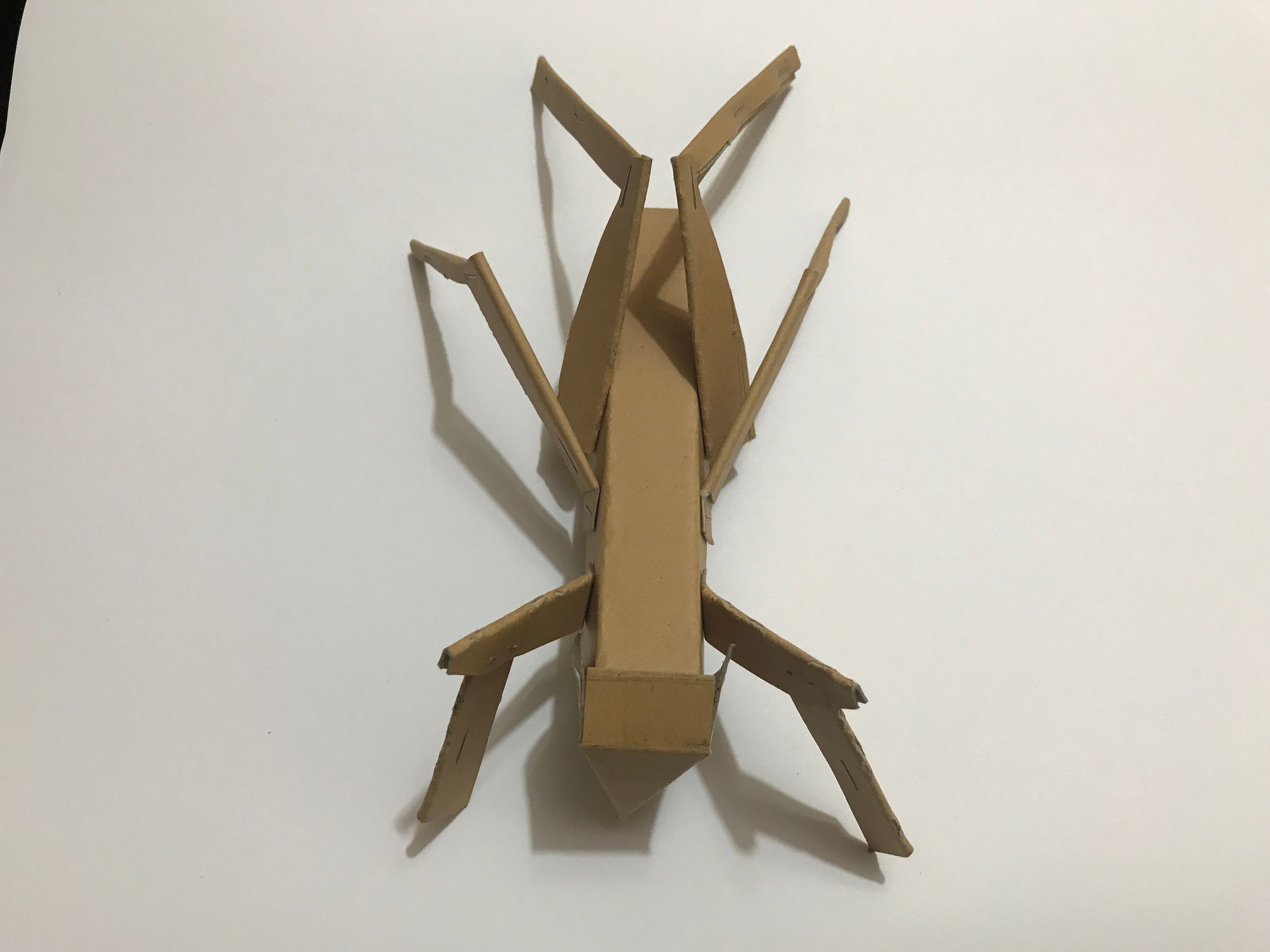 Creepy Cricket : 13 Steps (with Pictures) - Instructables