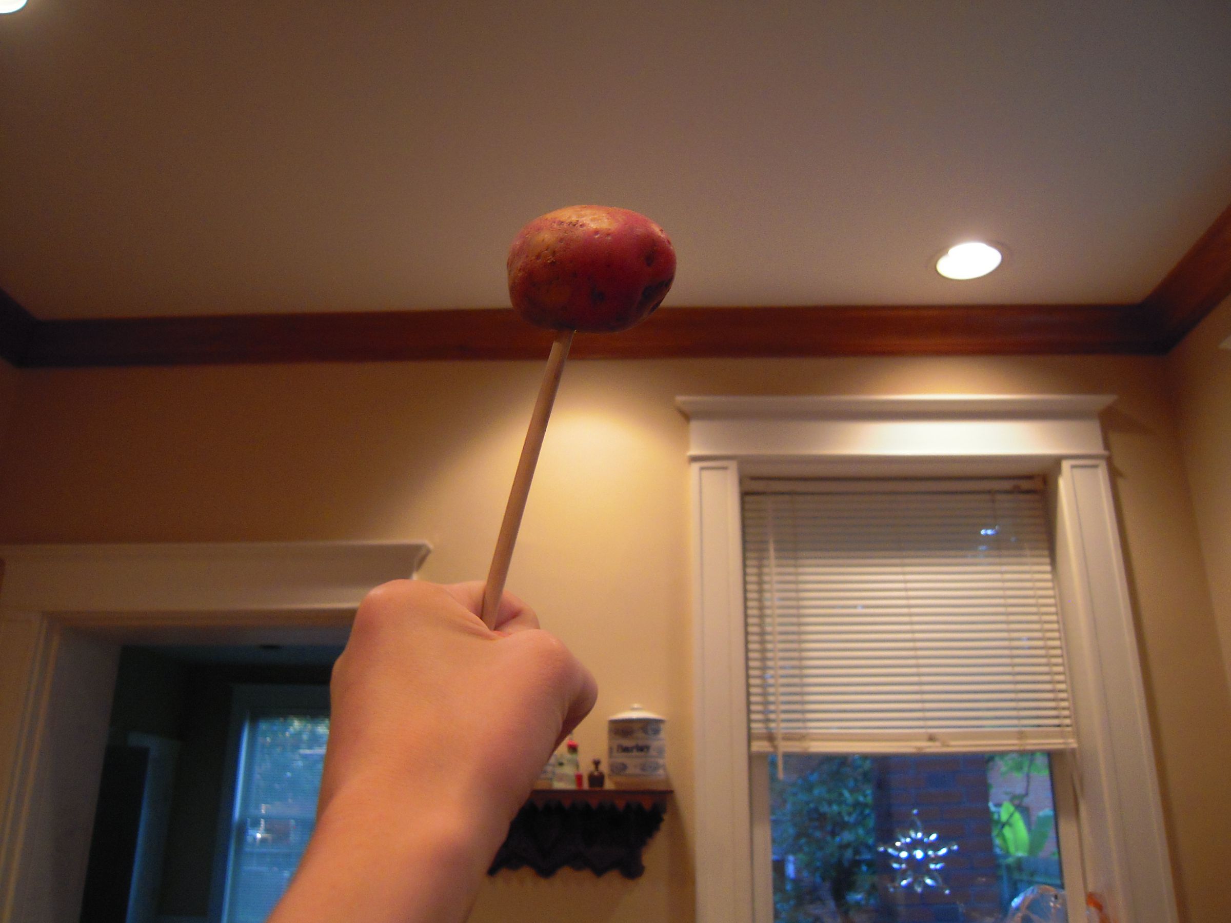 Potato on a Stick : 4 Steps (with Pictures) - Instructables
