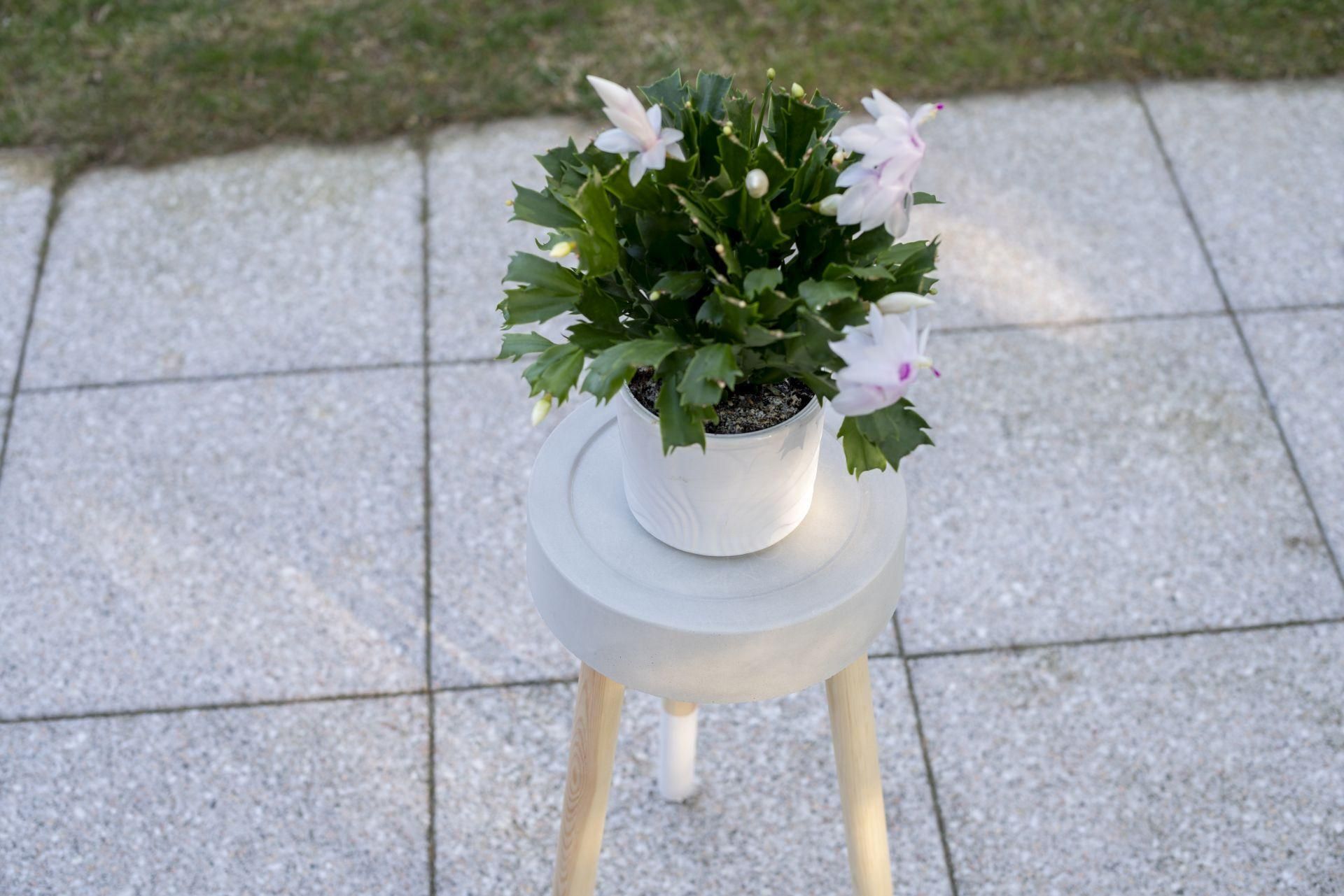 Concrete Plant Stand : 6 Steps (with Pictures) - Instructables