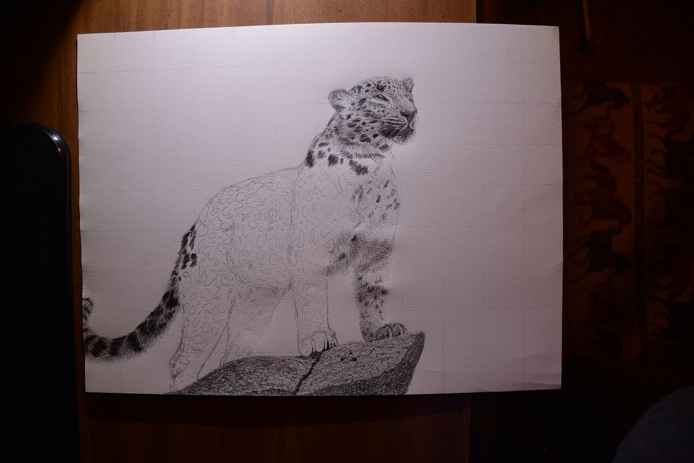 How to Draw an Amur Leopard on Pastel Paper : 5 Steps - Instructables