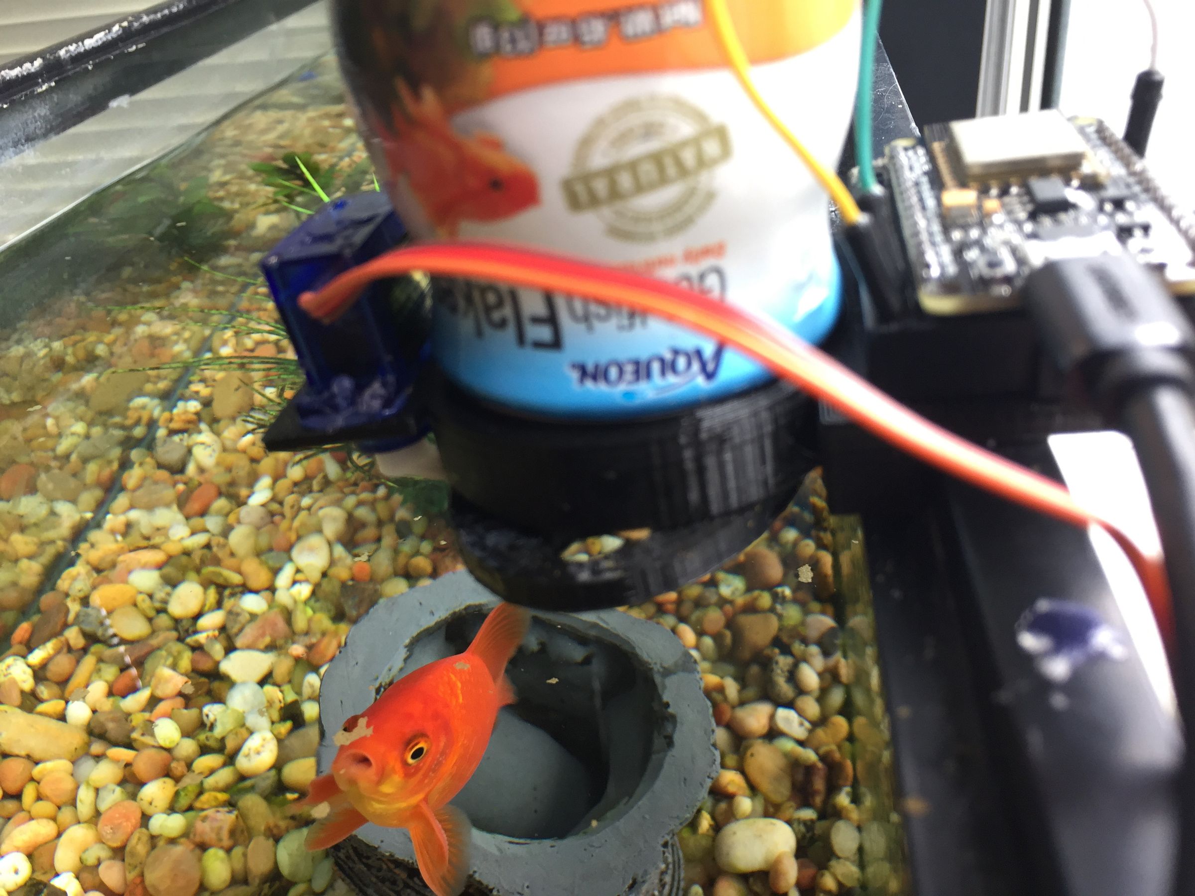 Feed Your Fish Flakes From Anywhere! : 7 Steps (with Pictures ...