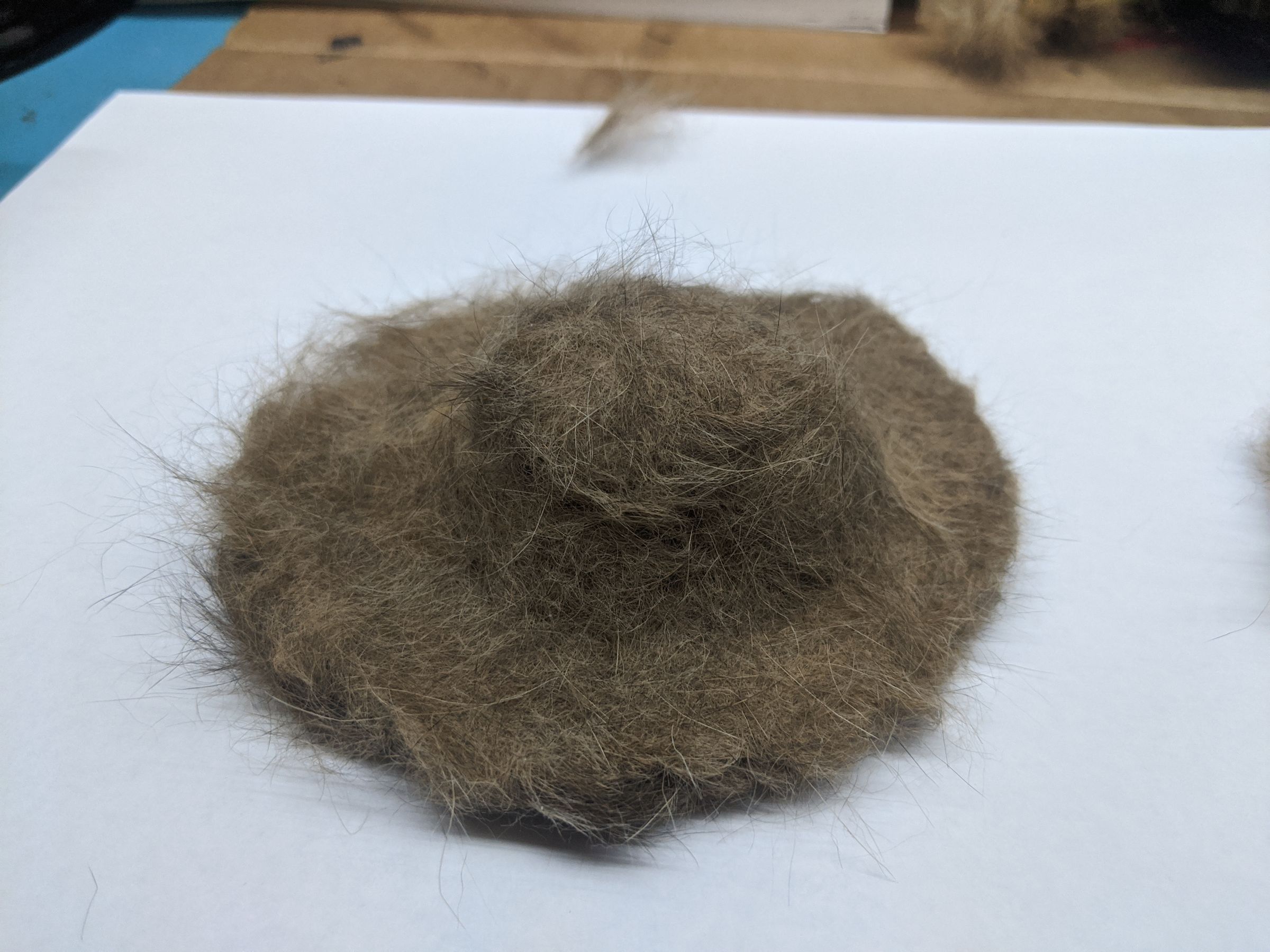 Felted Cat Fur Cat Hat : 3 Steps (with Pictures) - Instructables