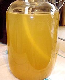 How Wine Is Made Professionally : 9 Steps - Instructables