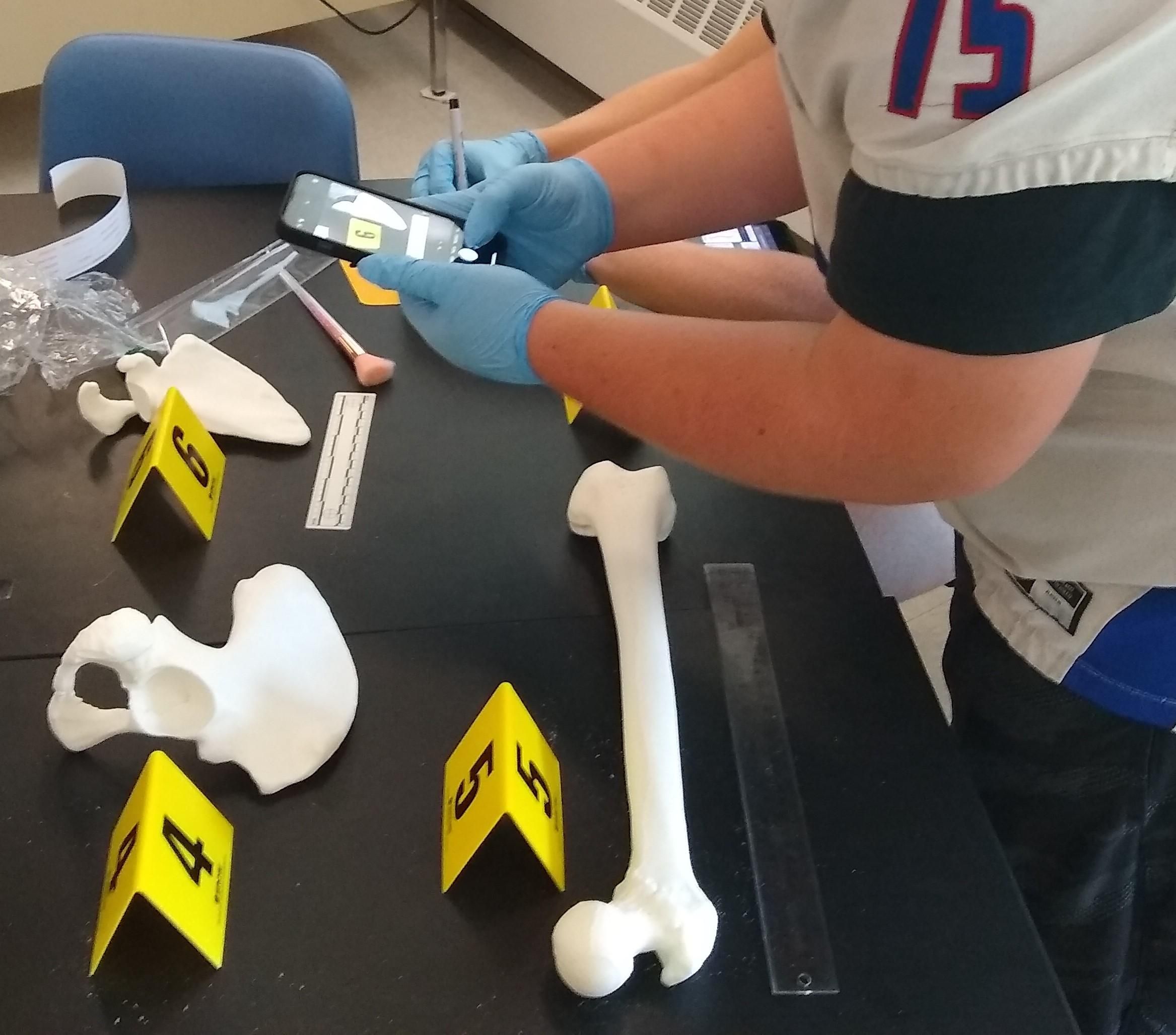 Forensic Anthropology With 3D Printed Bones : 8 Steps (with Pictures ...