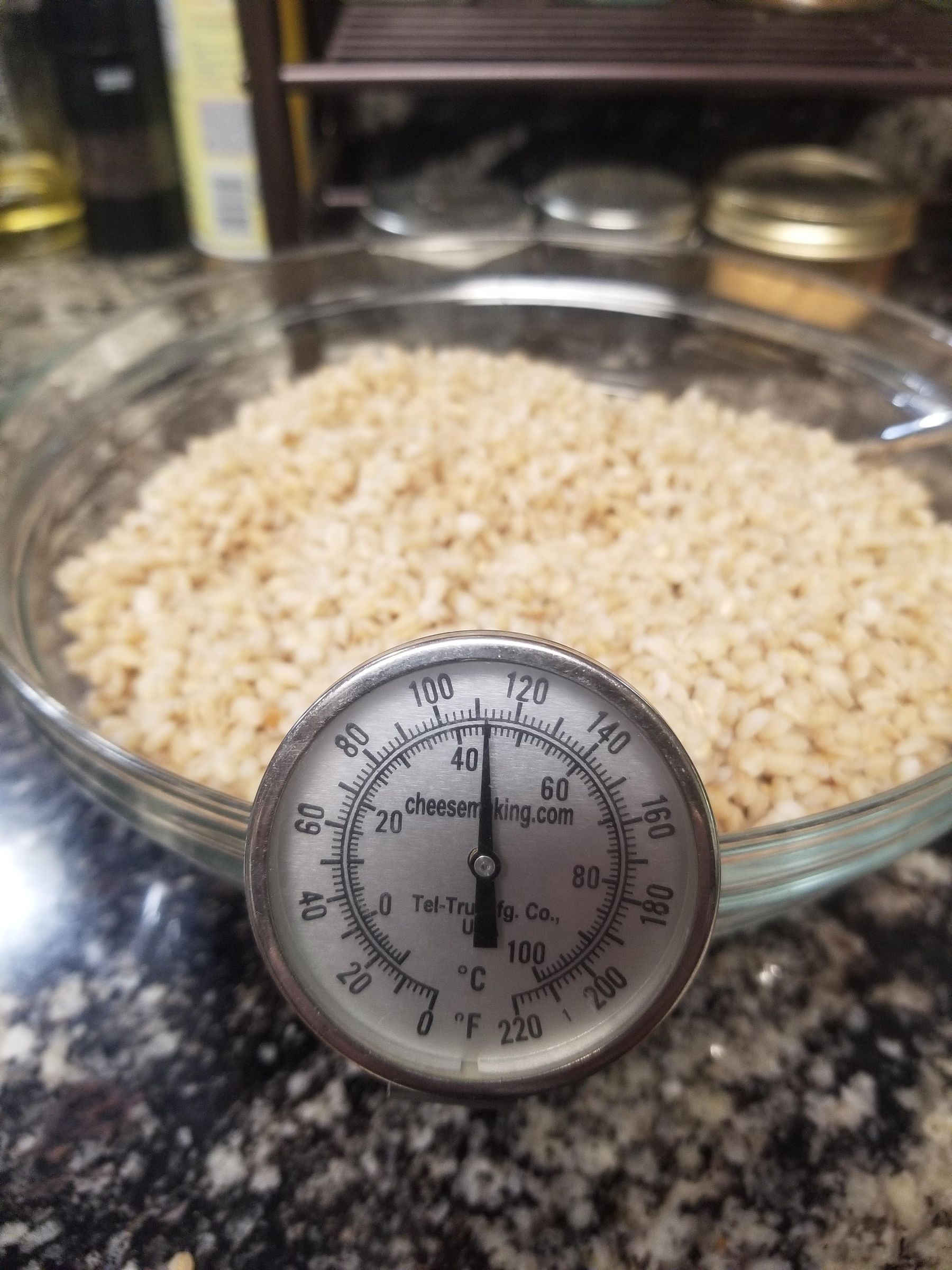 Making Koji - a Foundation of Fermentation : 5 Steps (with Pictures ...