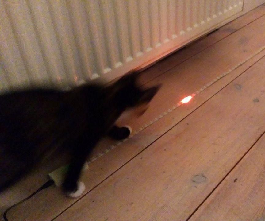 Arduino Nano LED Strip Cat Toy : 6 Steps - Instructables