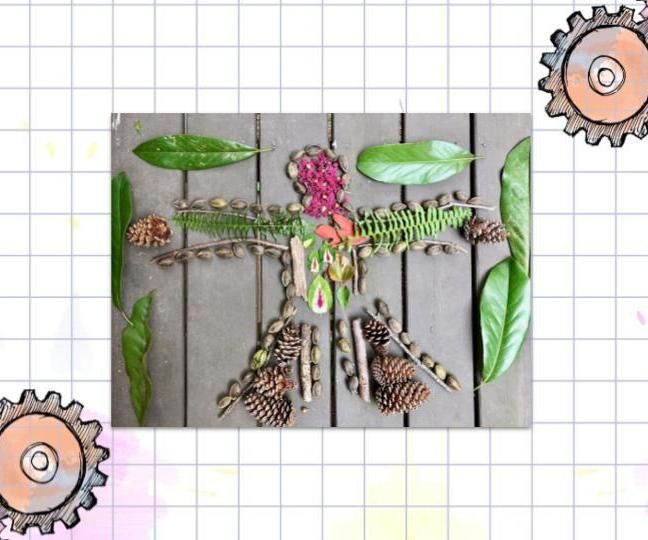 Nature Display : 4 Steps (with Pictures) - Instructables