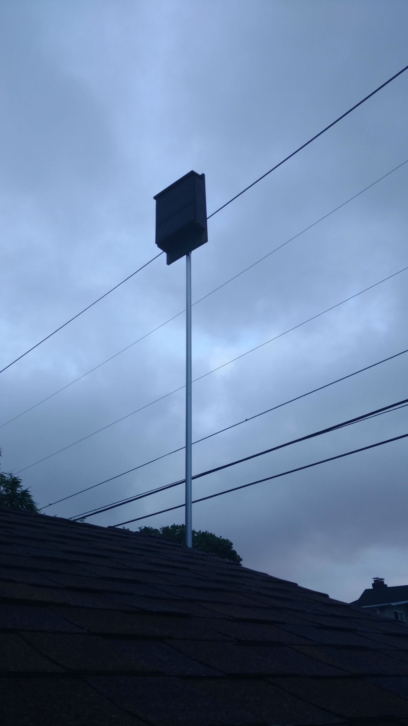 How to Hang a Bat House (on a Shed) : 5 Steps (with Pictures ...
