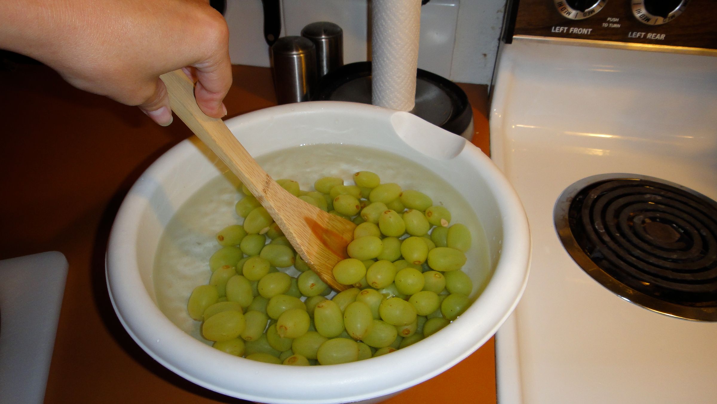 Make Raisins With a Dehydrator : 4 Steps (with Pictures) - Instructables