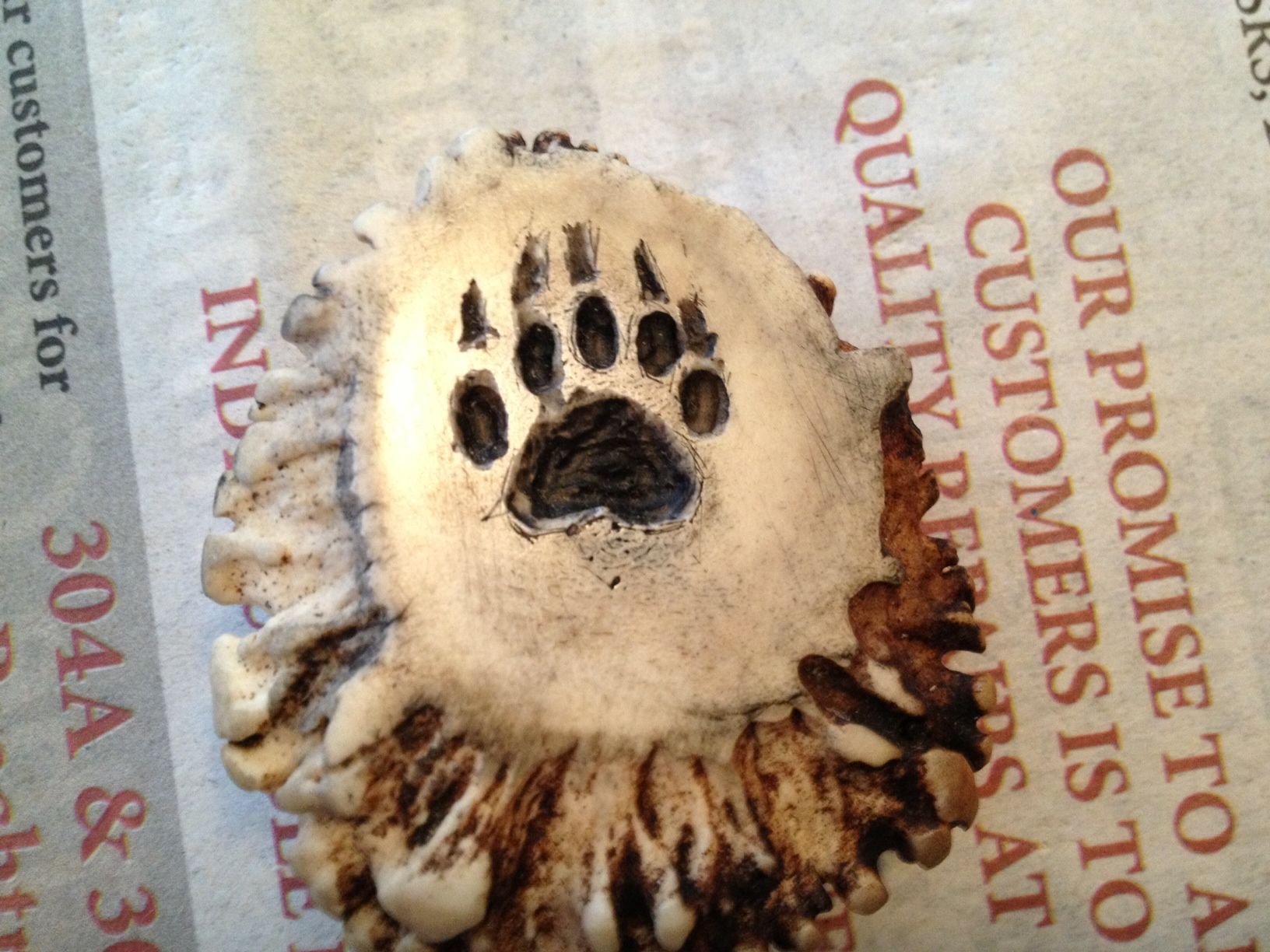Crafting With Deer Antler : 11 Steps (with Pictures) - Instructables