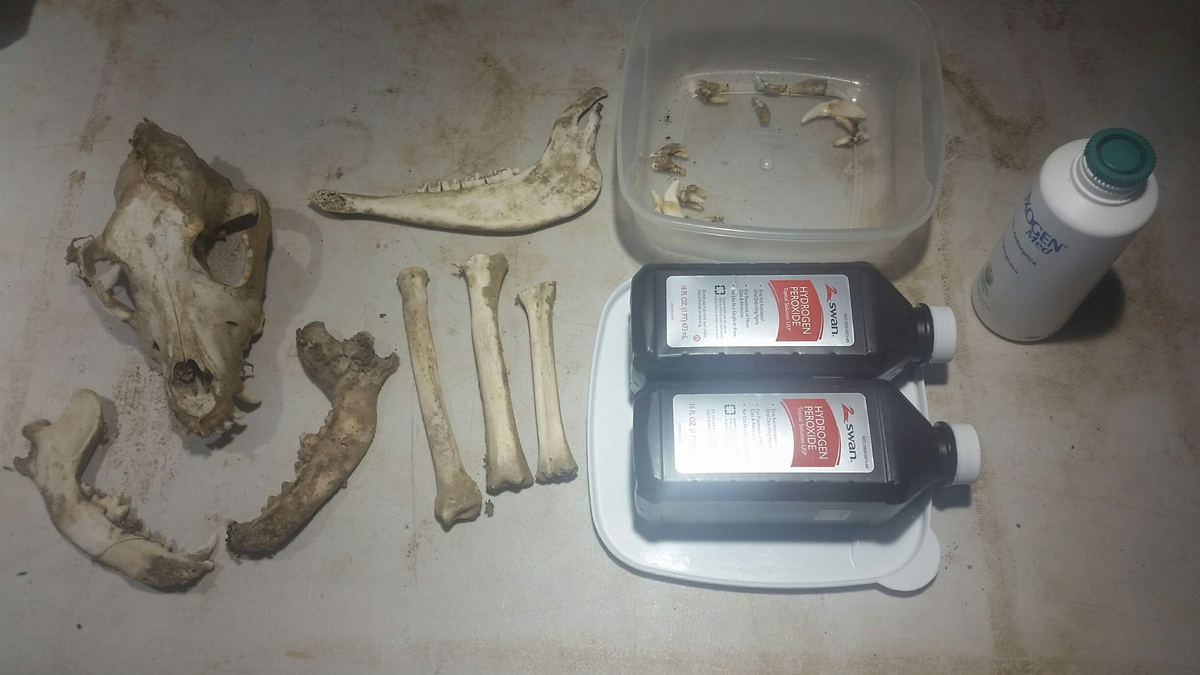 7 Awesome Halloween Deco's : 7 Steps (with Pictures) - Instructables