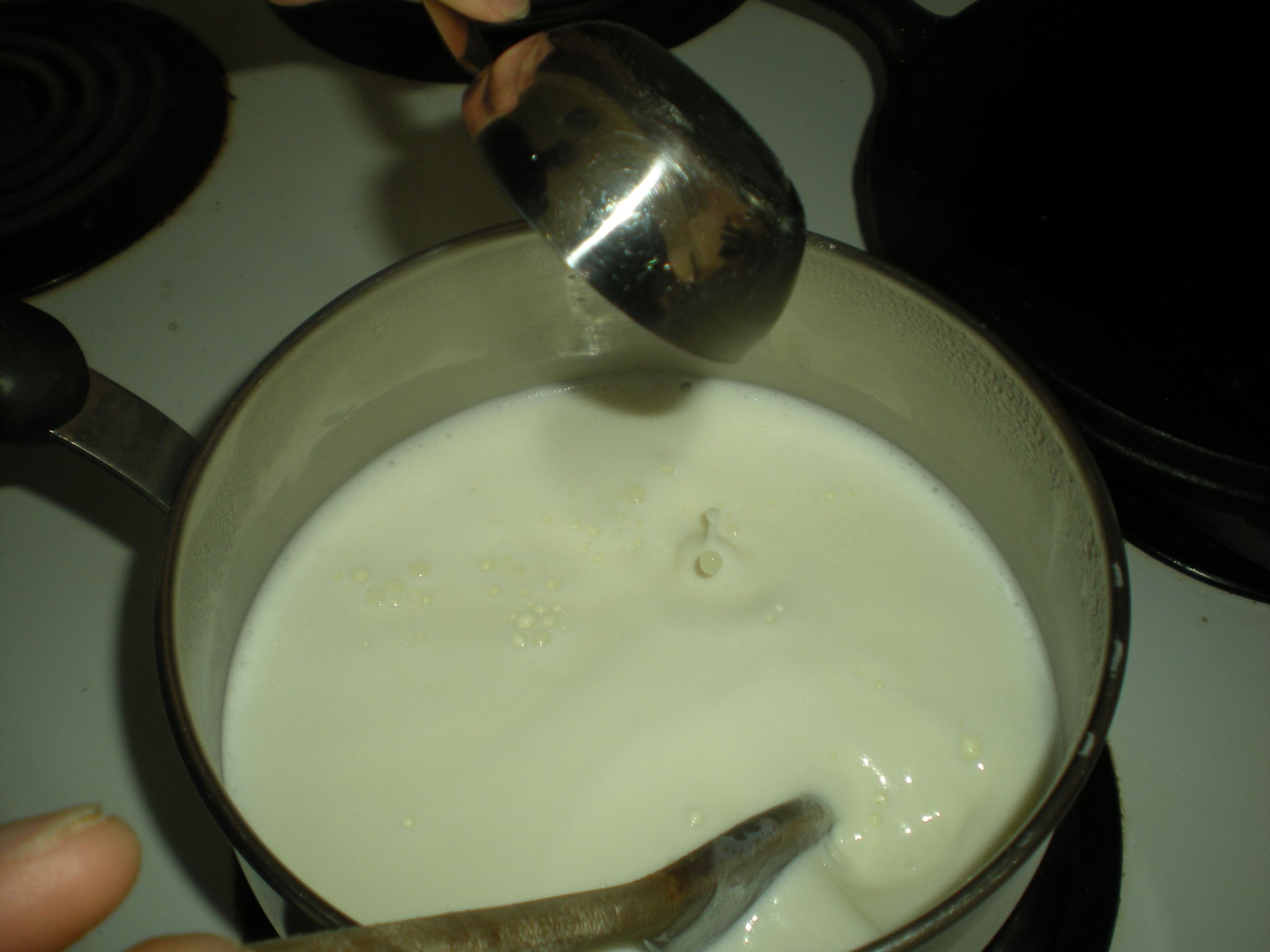 Cheese Curds : 5 Steps (with Pictures) - Instructables