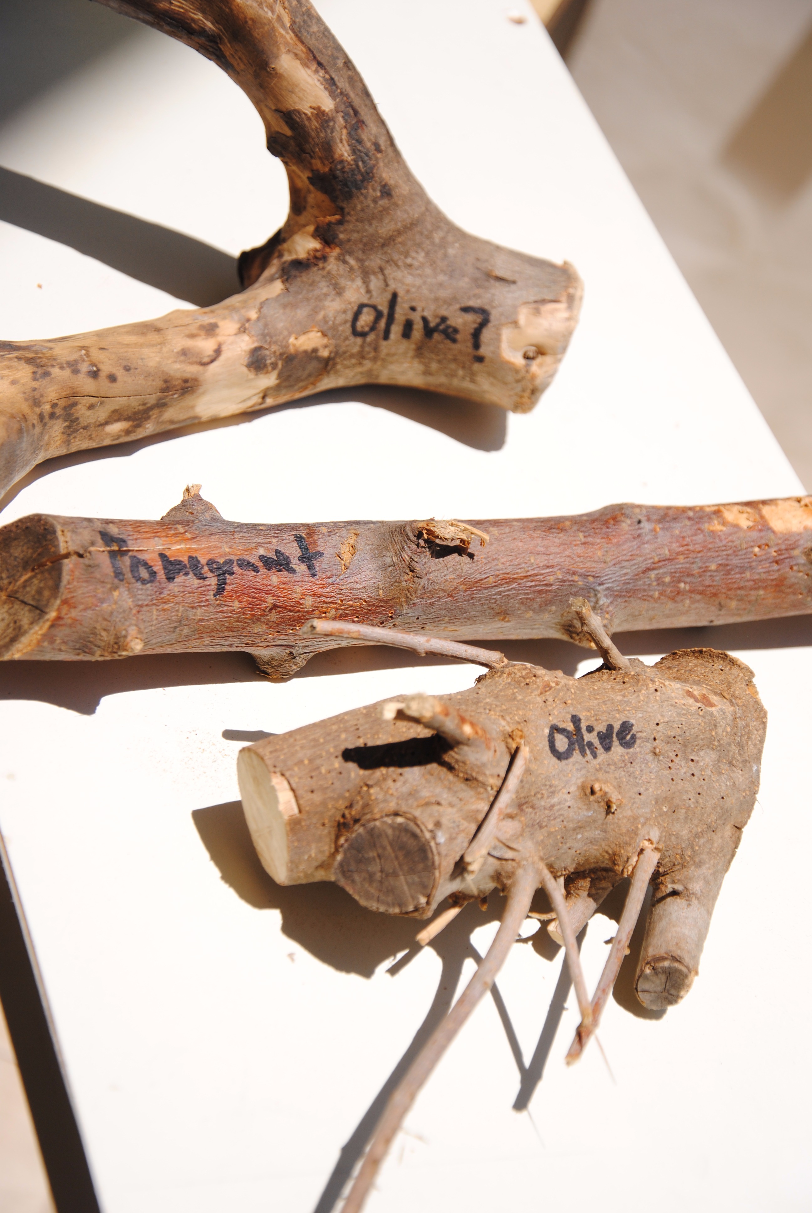 Finger Mallet From a Tree Branch | DIY Woodworking Tools #8 : 10 Steps ...