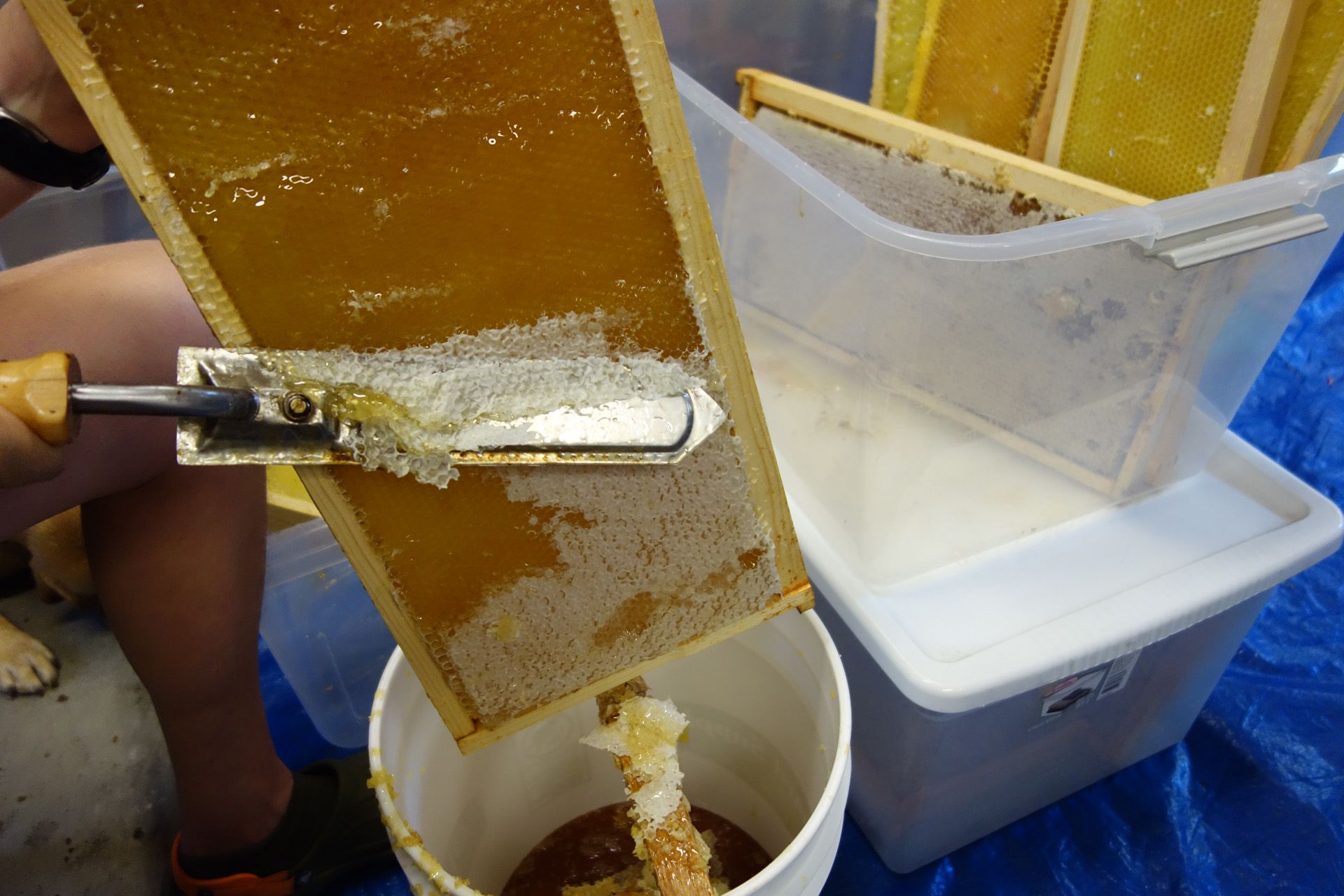 Extracting Honey : 8 Steps (with Pictures) - Instructables