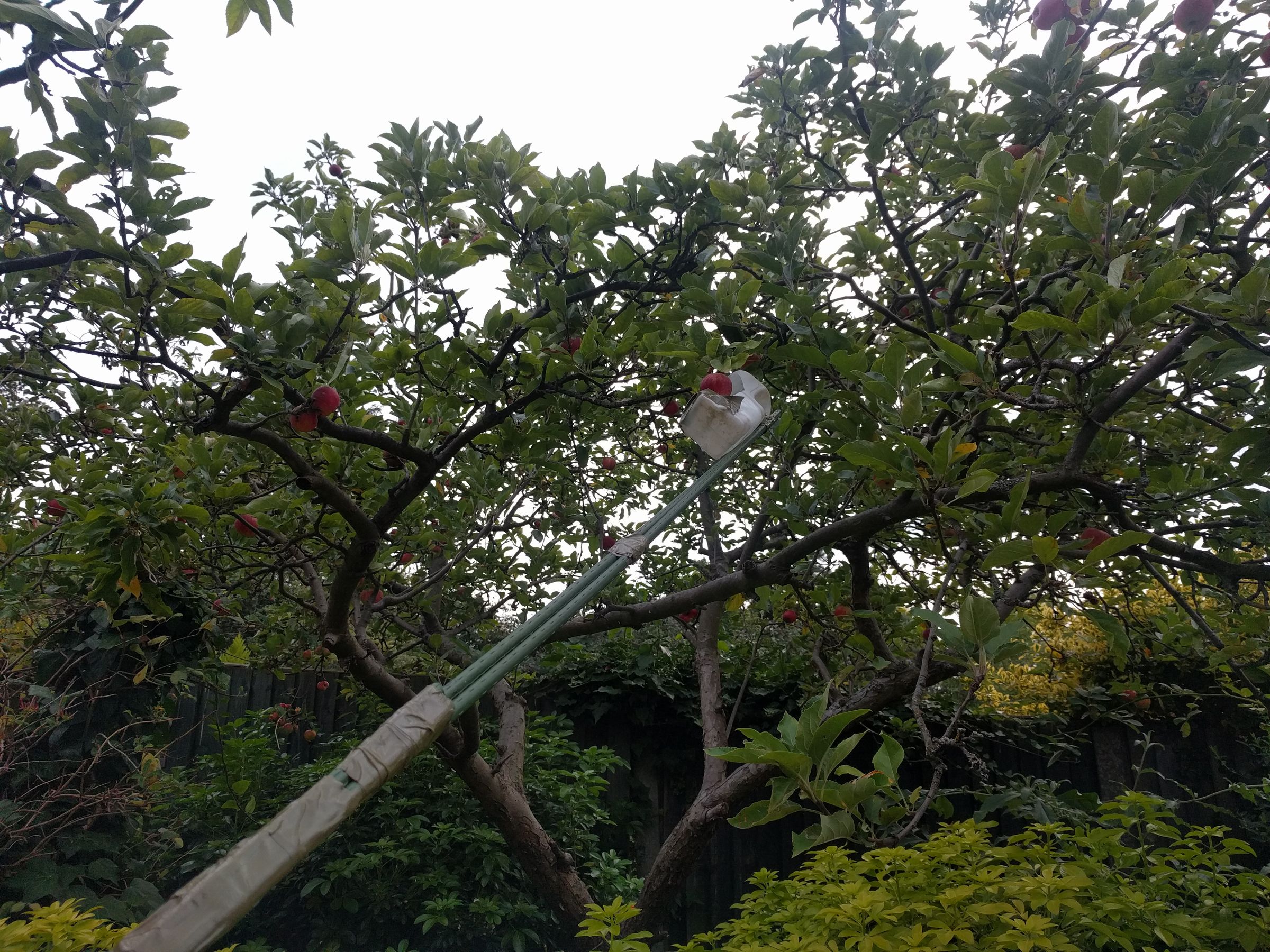 Easy to Make Apple Picker : 4 Steps (with Pictures) - Instructables