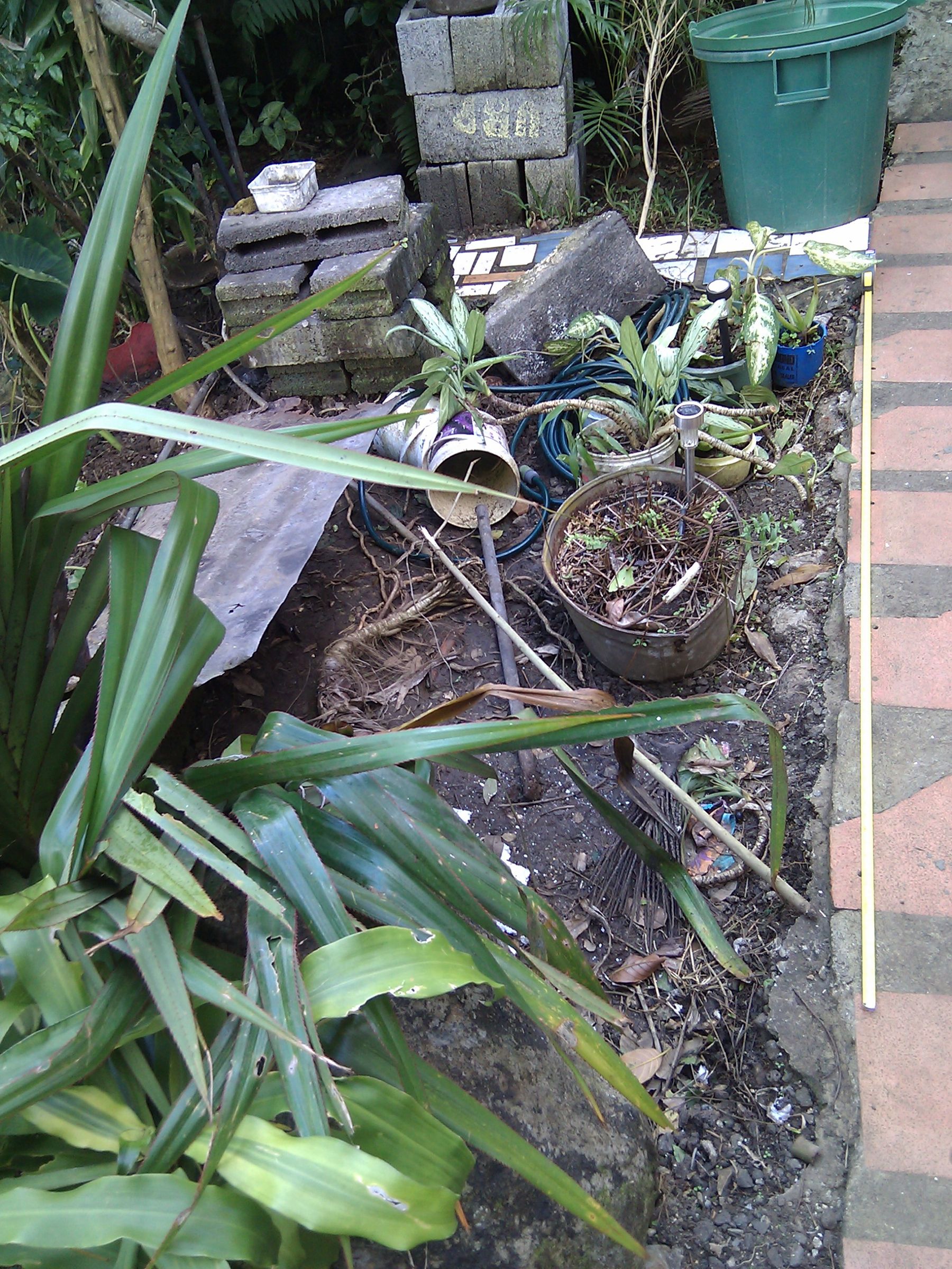 Concrete Pond : 9 Steps (with Pictures) - Instructables