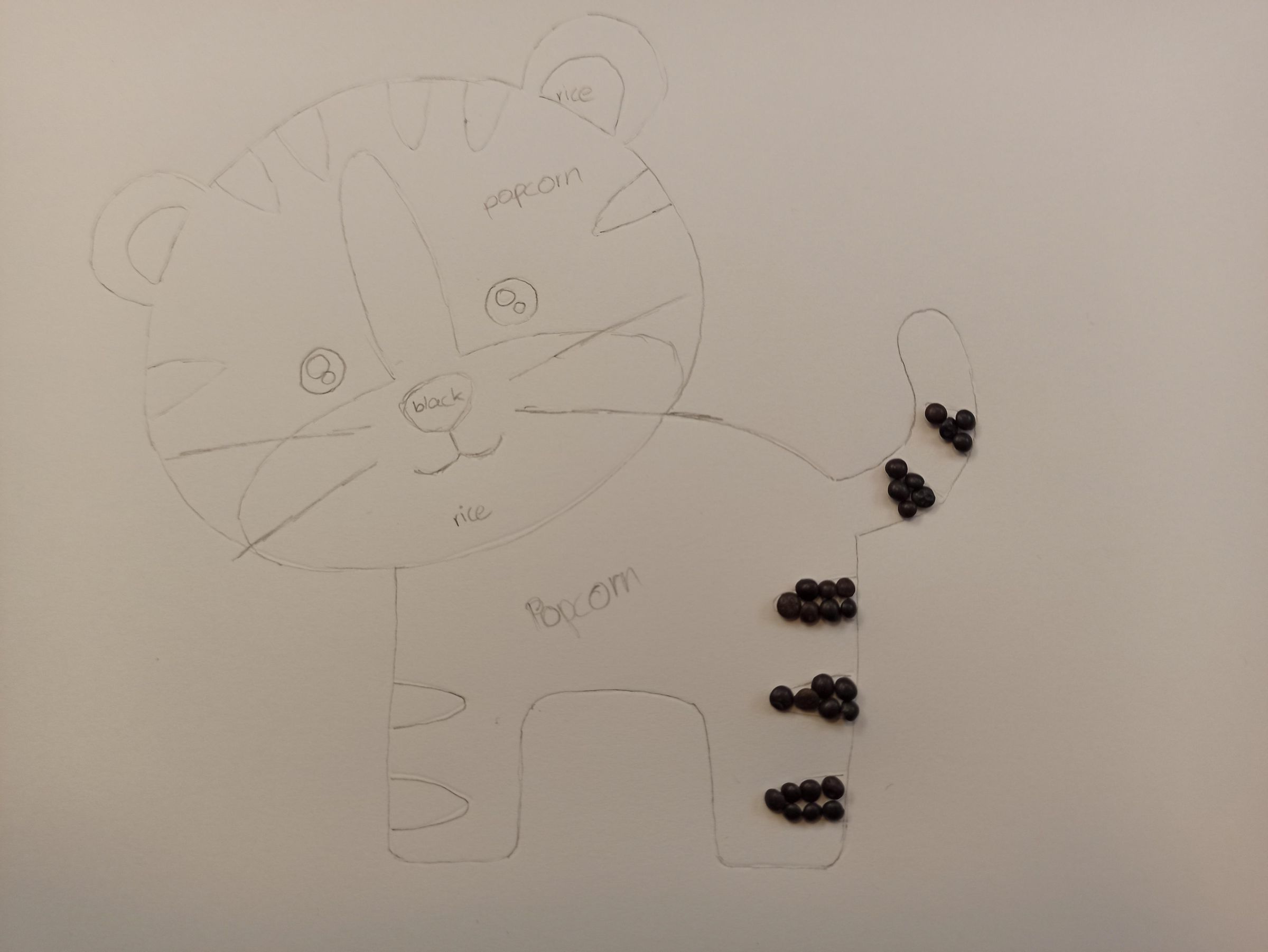 Easy Grains Art : 3 Steps - Instructables