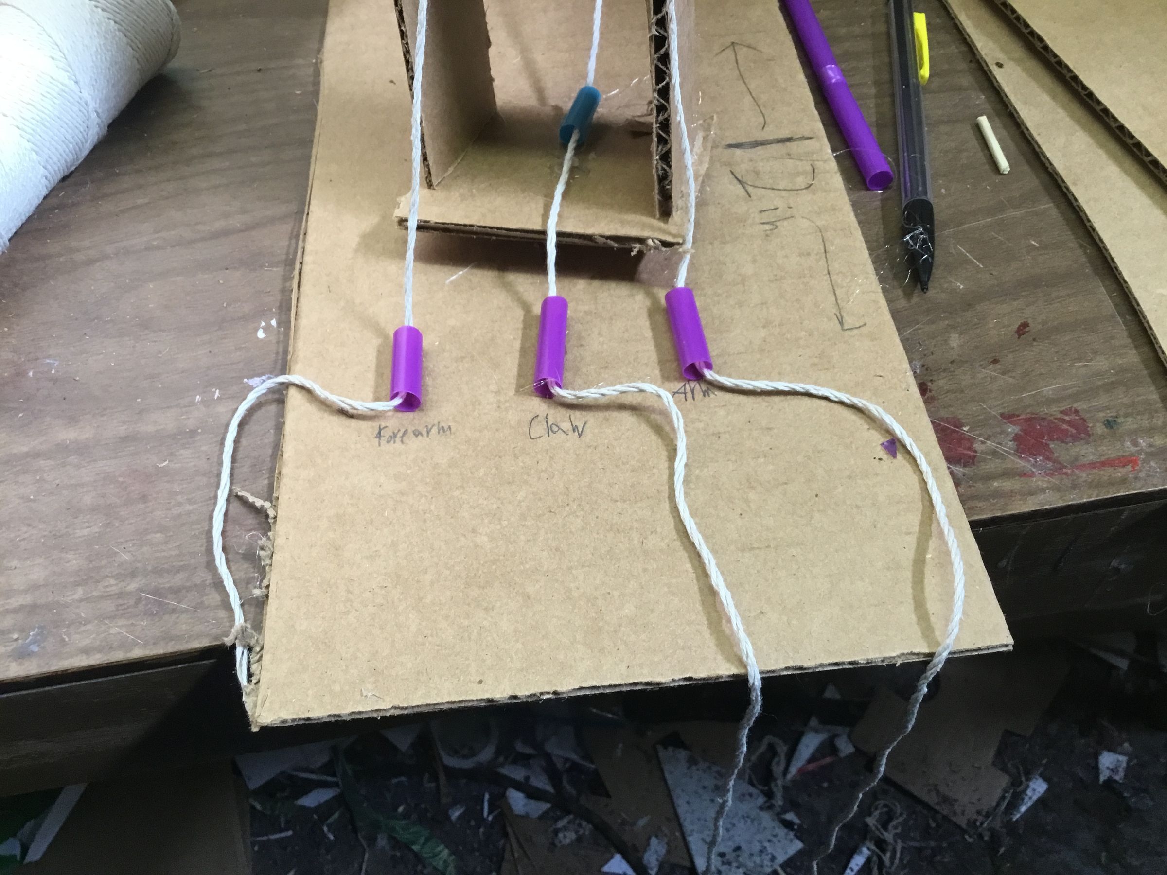 Recycled Cardboard Claw : 13 Steps - Instructables