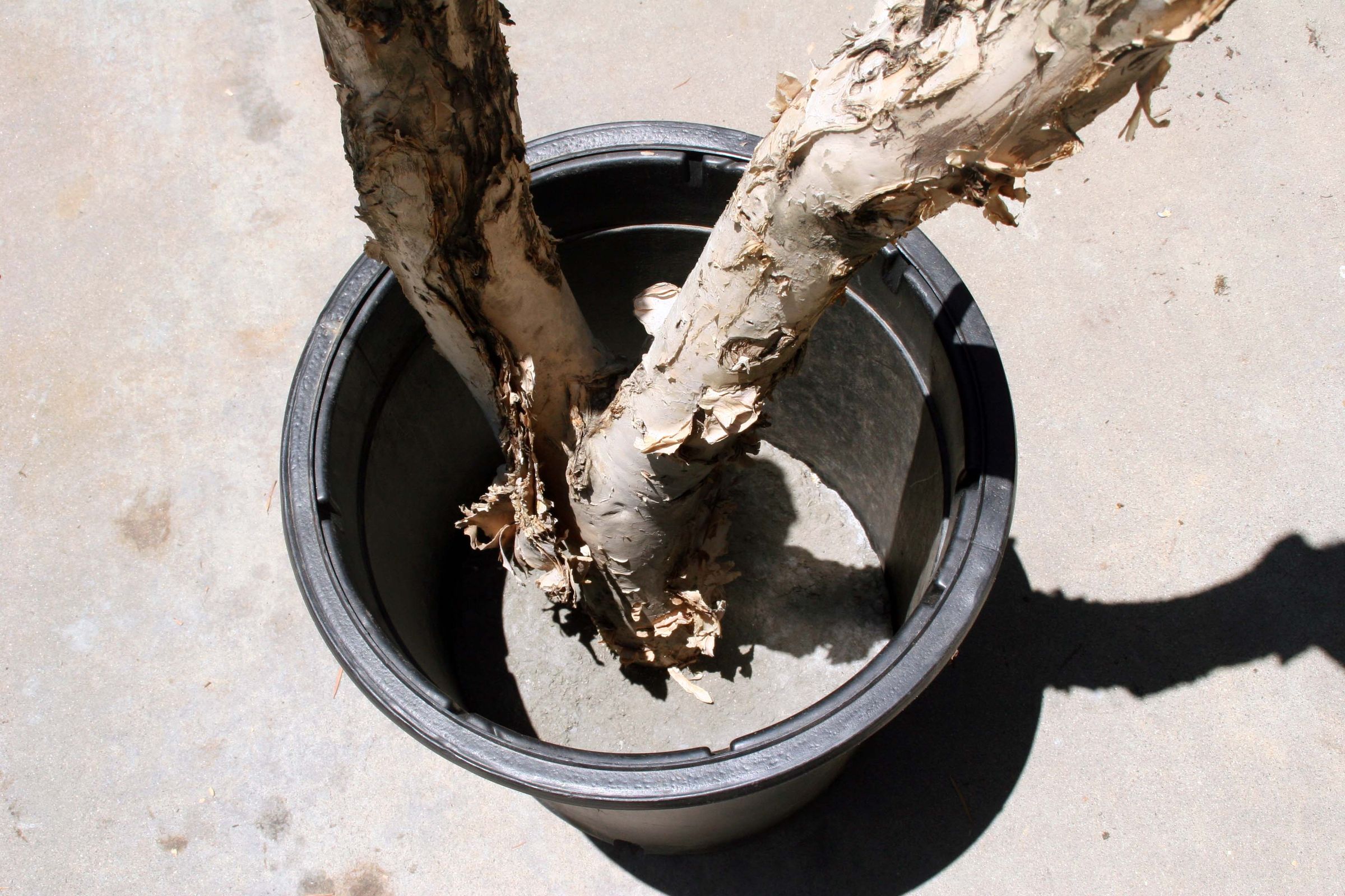 Tree Branch Lamp : 15 Steps (with Pictures) - Instructables