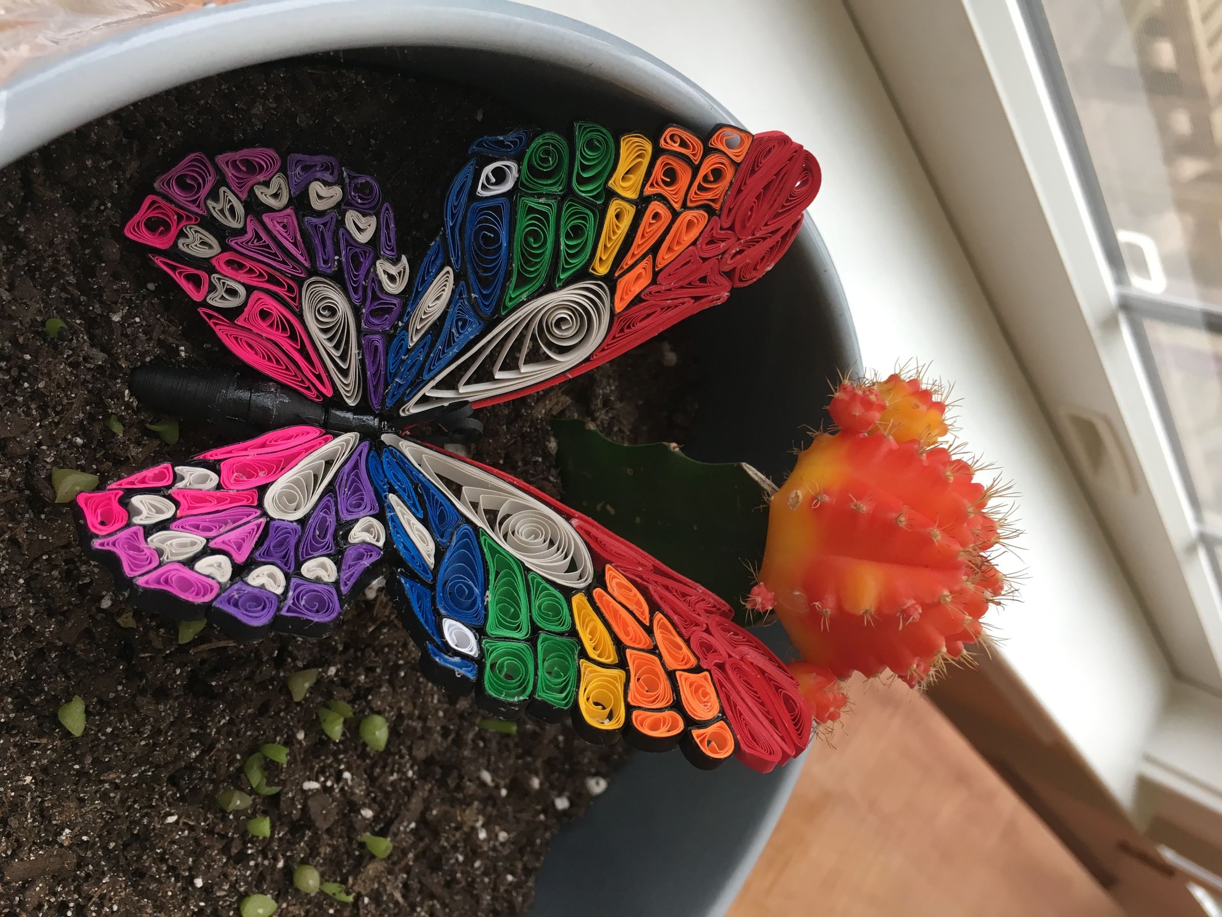 Rainbow Quilled Butterfly : 4 Steps (with Pictures) - Instructables