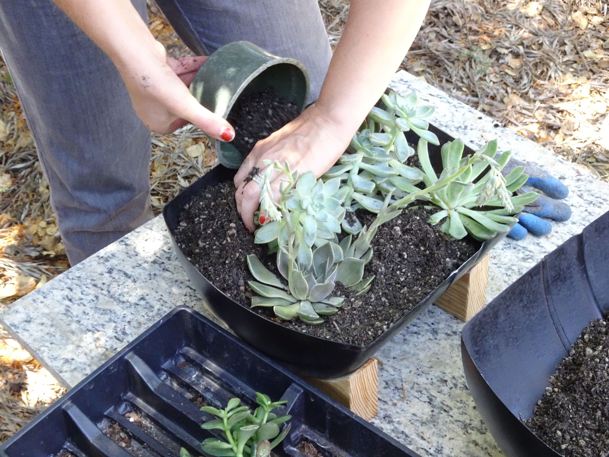 Upcycled Tank Planter : 9 Steps (with Pictures) - Instructables