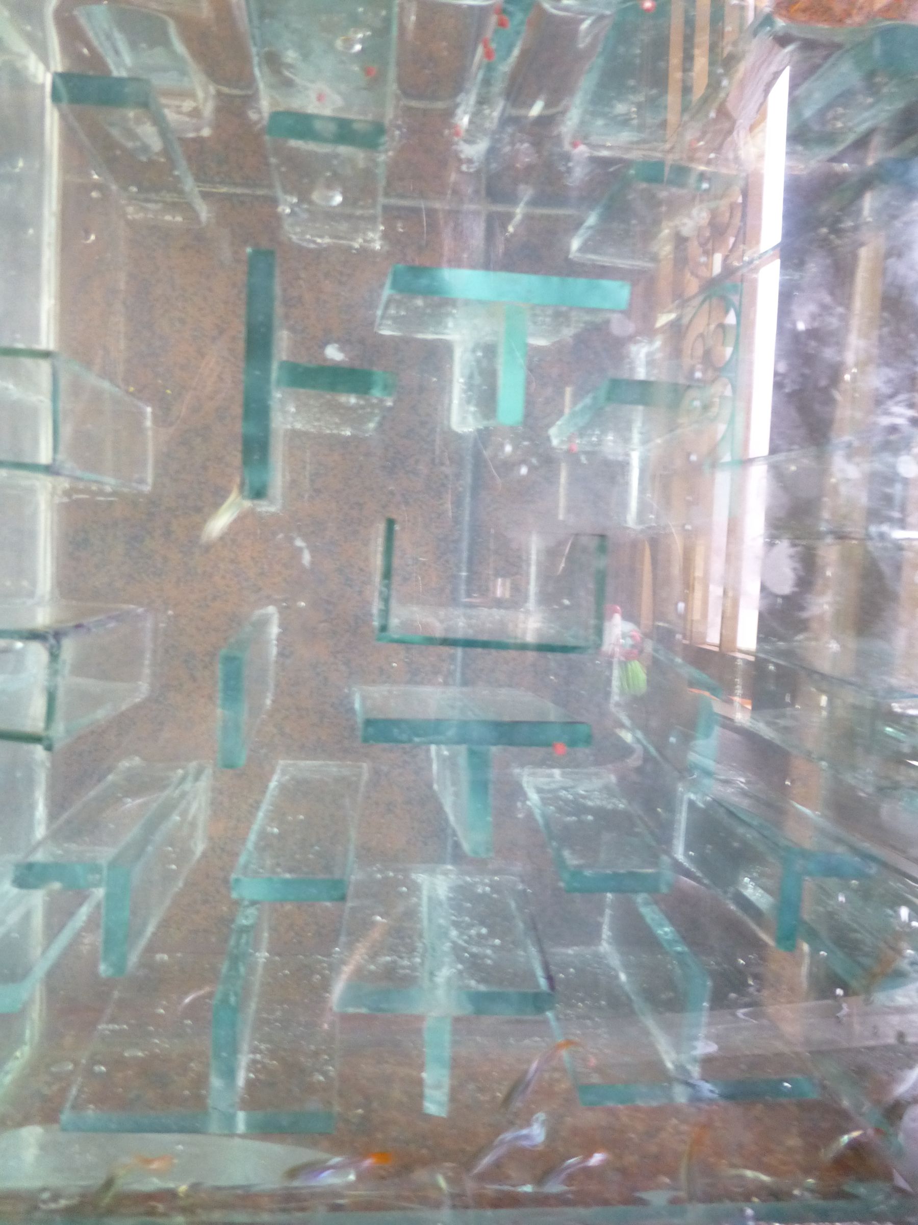 Pac Man Fish Tank : 8 Steps (with Pictures) - Instructables