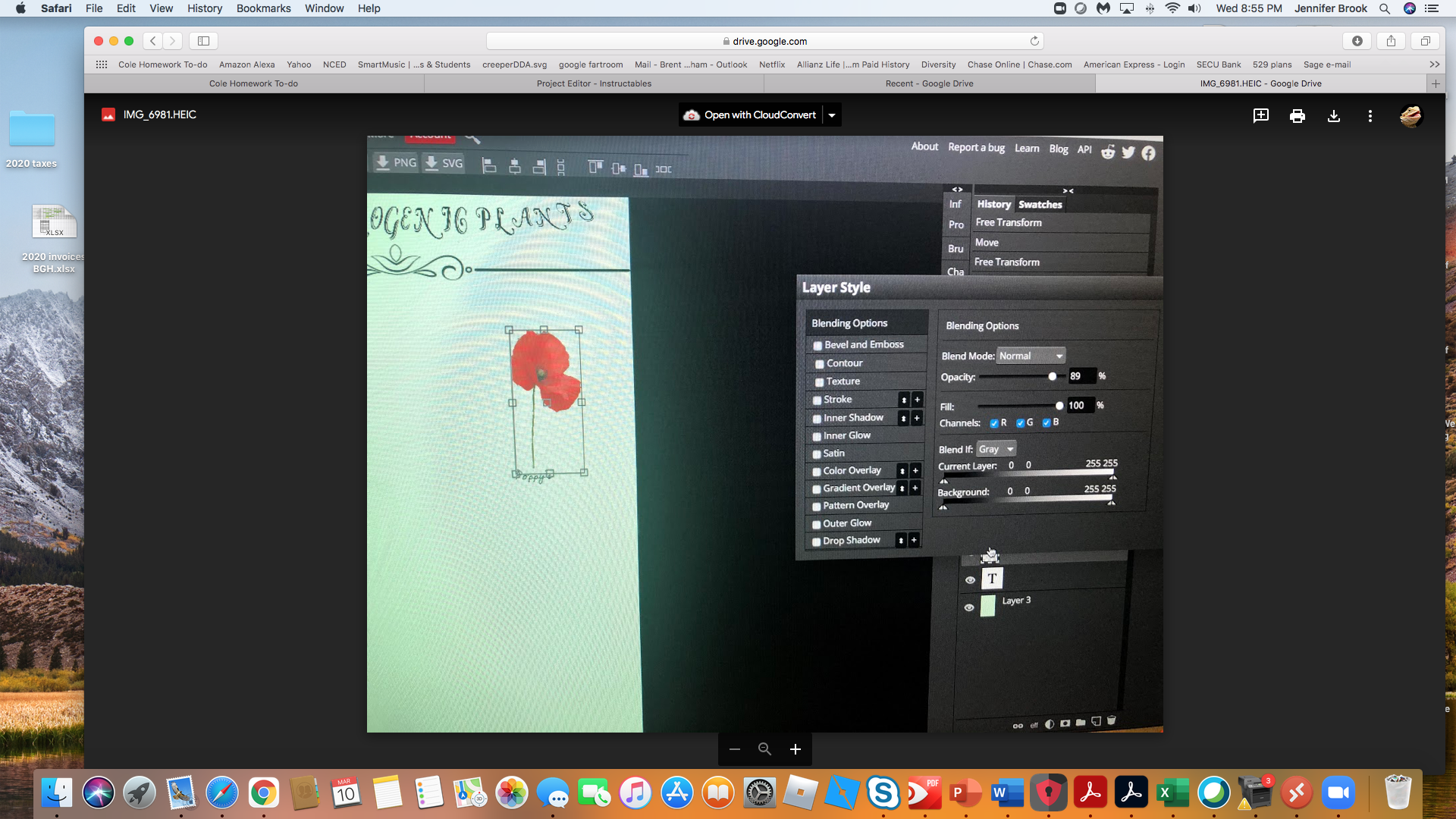 Photopea Tutorial Project: Hallucinogenic Plant Poster : 6 Steps - Instructables