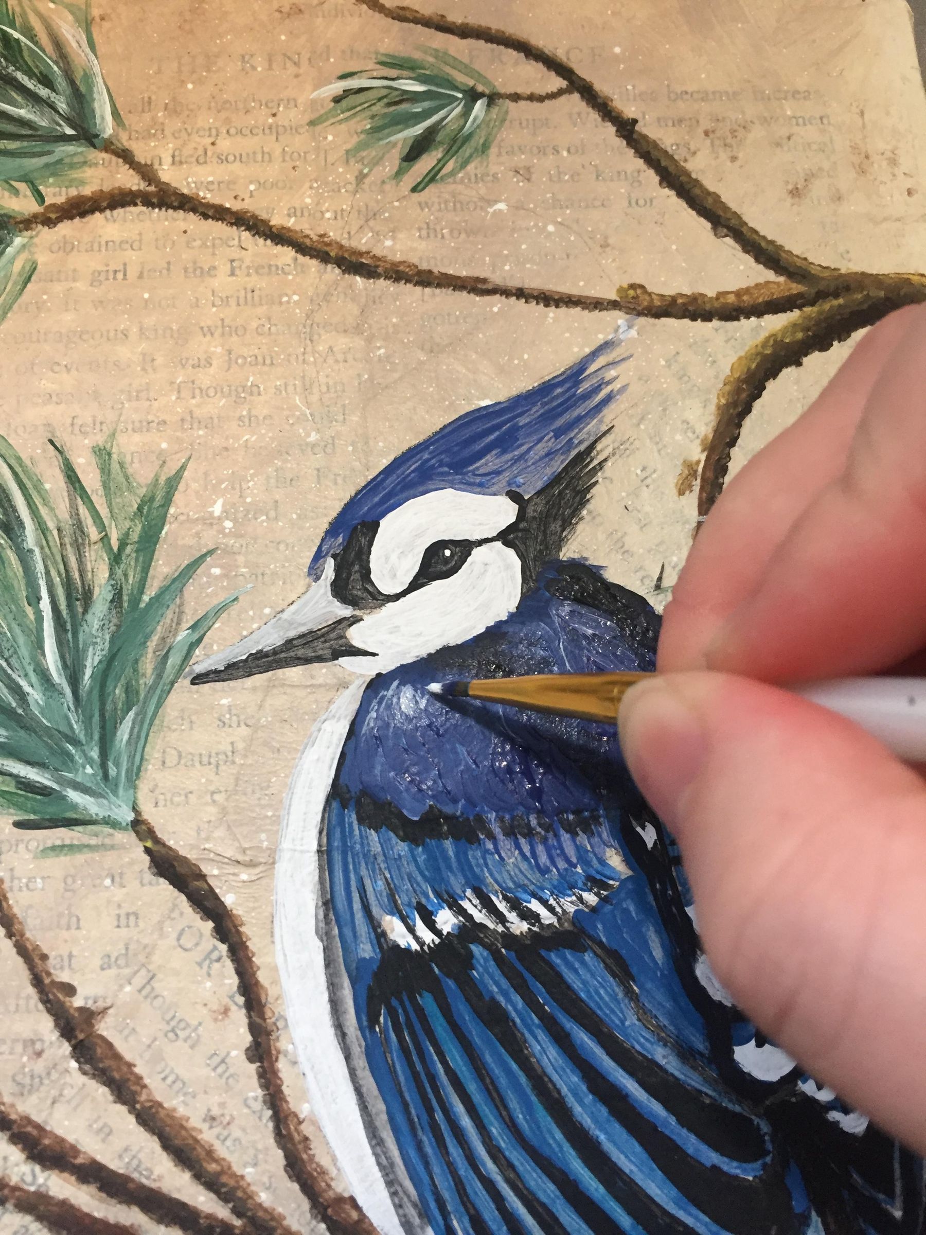 How to Paint a Blue Jay on a Branch. : 13 Steps (with Pictures ...