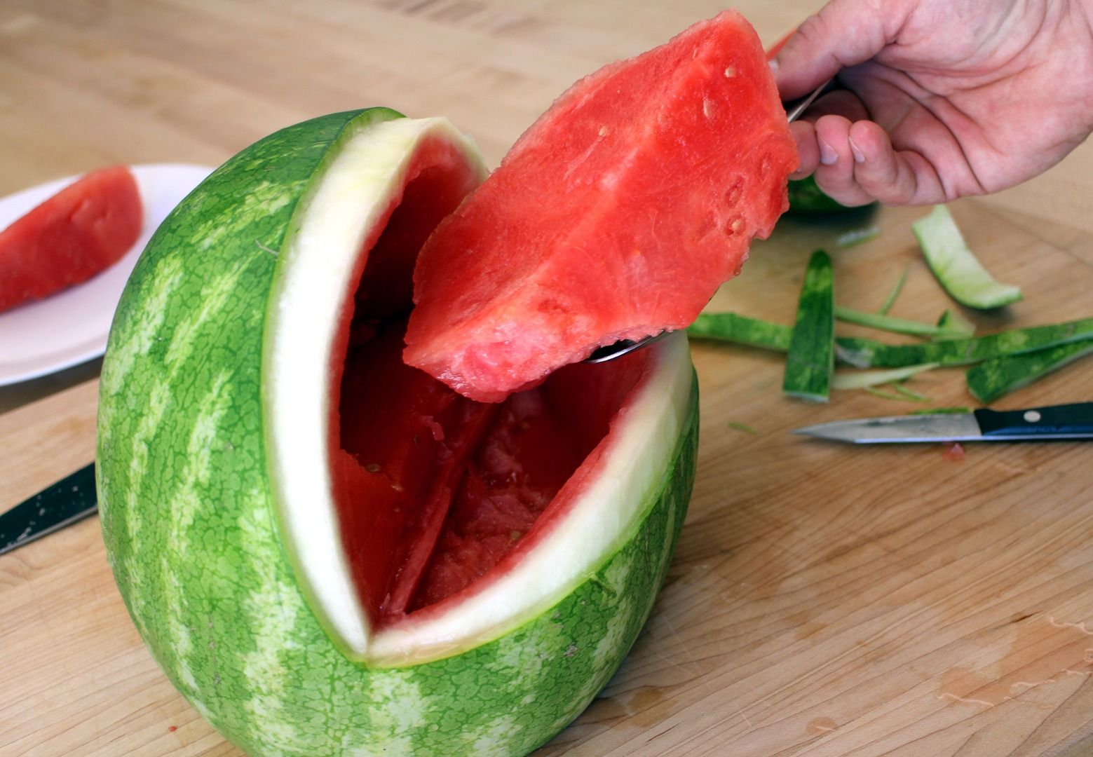 Watermelon Shark : 13 Steps (with Pictures) - Instructables