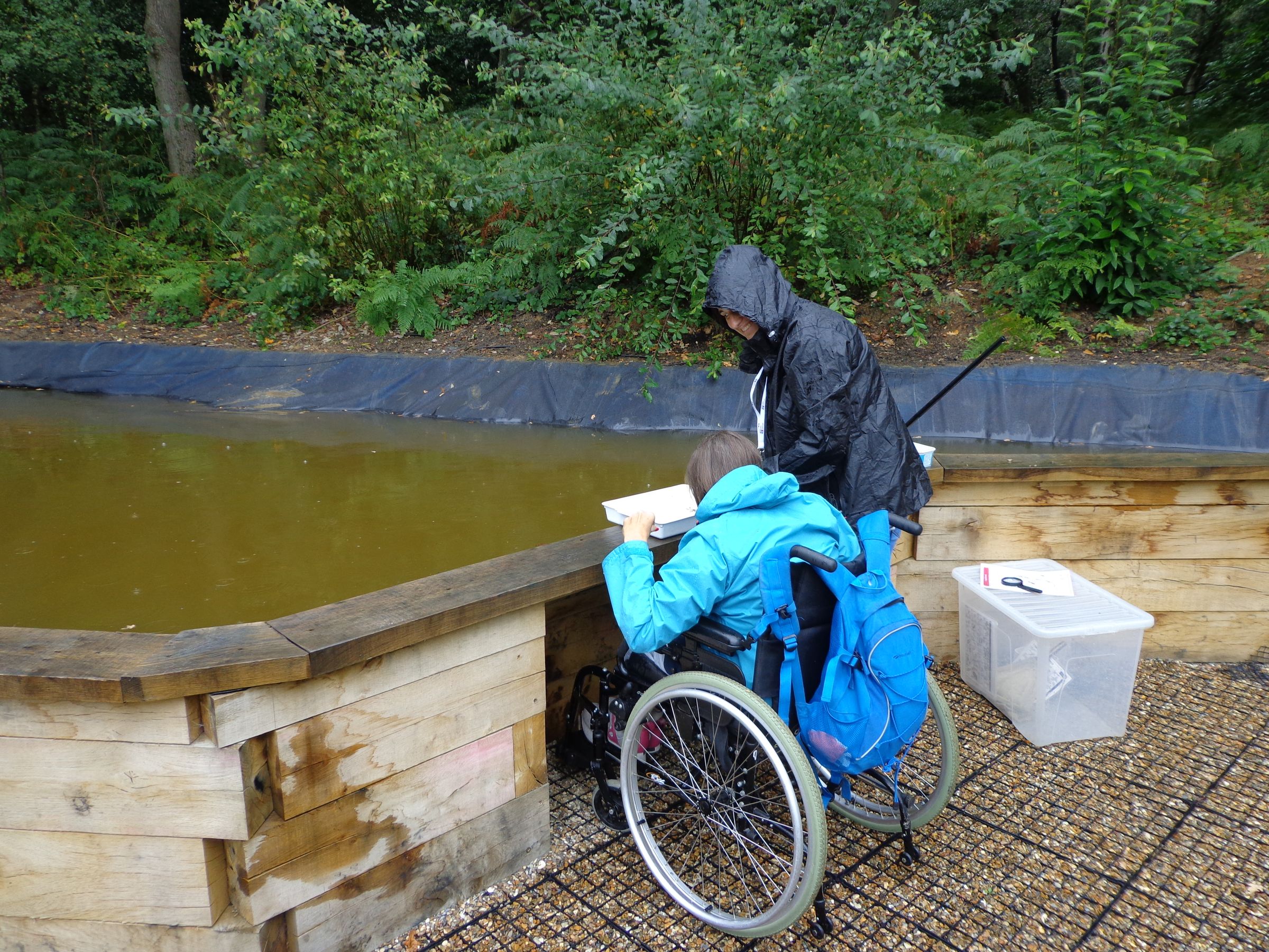 Raised Pond for Wheelchair Users : 9 Steps (with Pictures) - Instructables