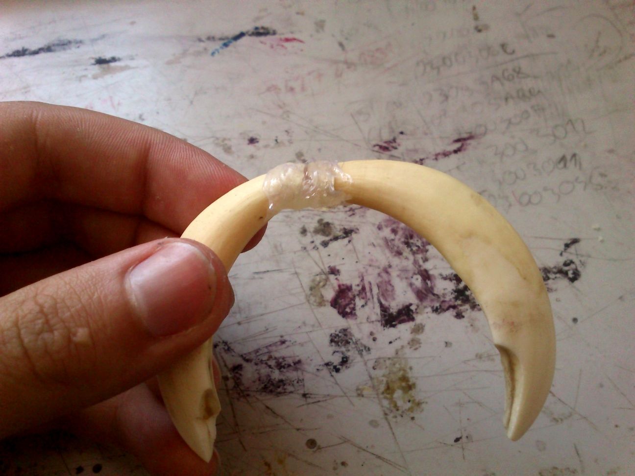 Boar Tusk Necklace : 8 Steps (with Pictures) - Instructables