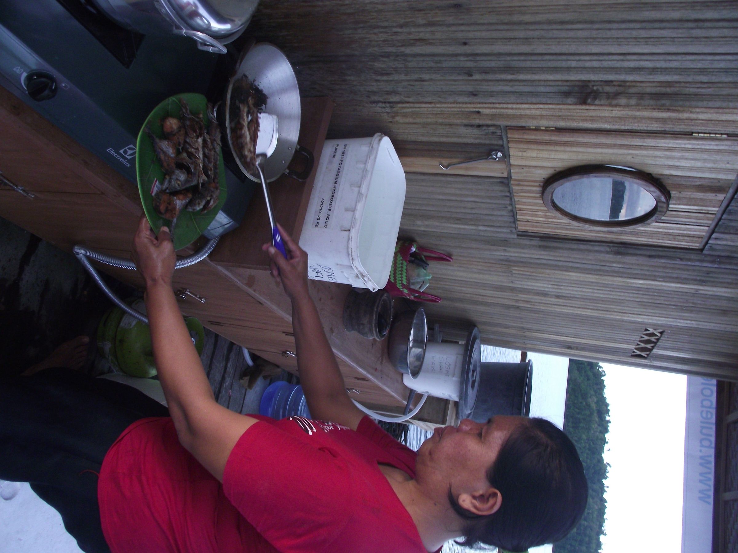 Building a Houseboat - With Added Information About Dimensions by ...