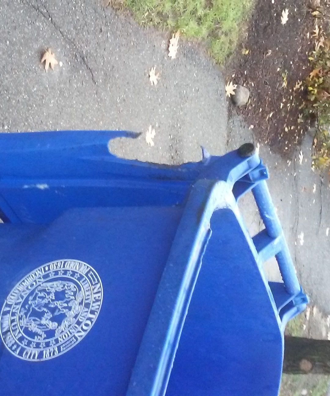 Trash Can Protector : 6 Steps (with Pictures) - Instructables