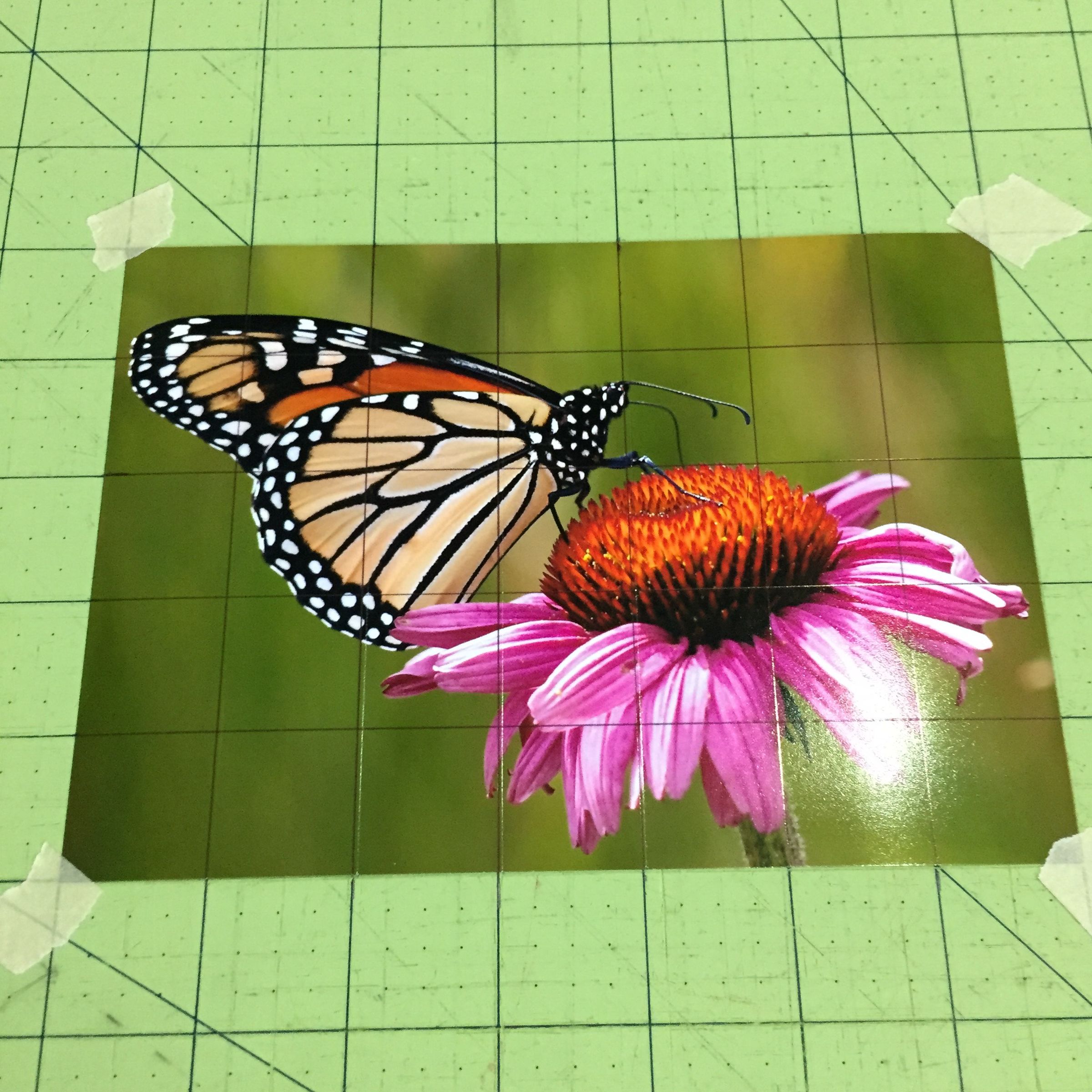 Turn Your Favorite Picture Into a Mural Using a Grid - Anyone Can Do It ...