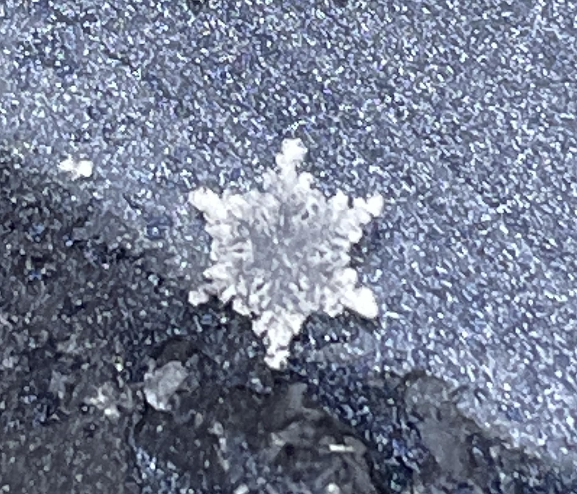 Capture Snowflakes With Photography (with Pictures) - Instructables