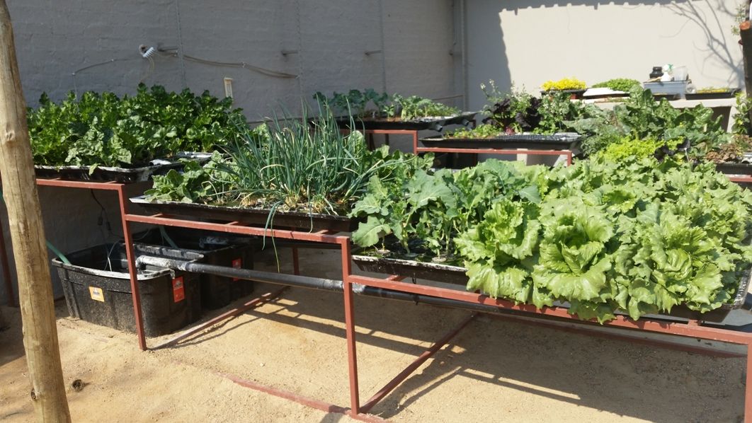 Hydroponic Ideas : 5 Steps (with Pictures) - Instructables