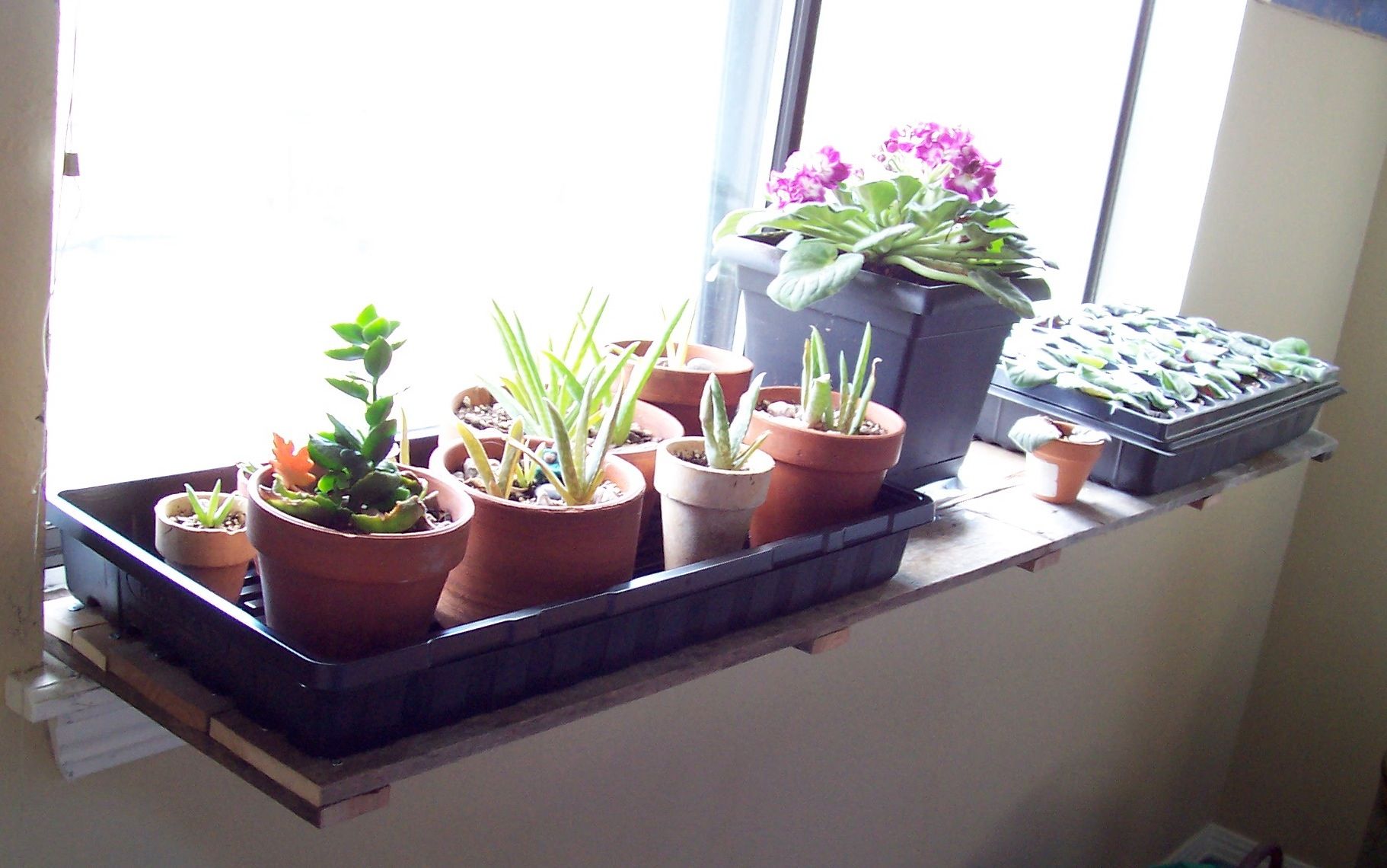 Window Sill Plant Shelf DIY Craftsman Trim With Window Plant Shelf