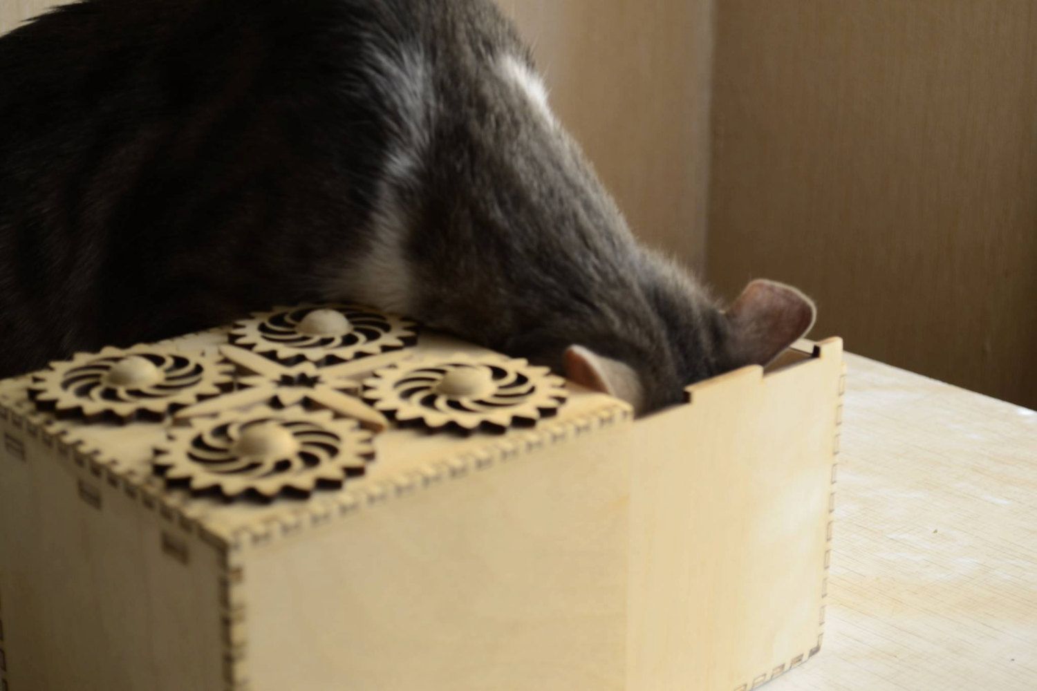 Candy Vault - Wood Box With Secret Mechanical Lock : 11 Steps (with ...