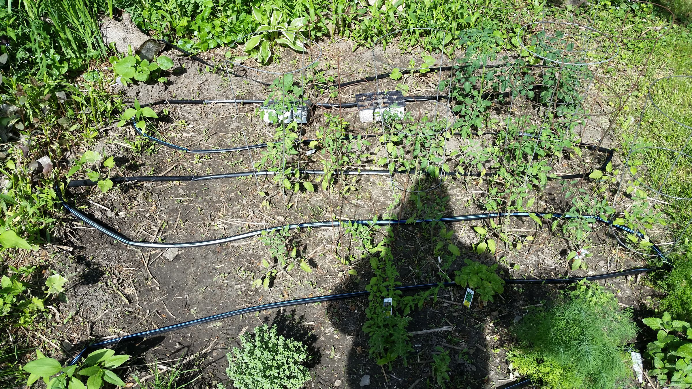 Setting Up an Automatic Multi-zone Home Irrigation System : 8 Steps ...