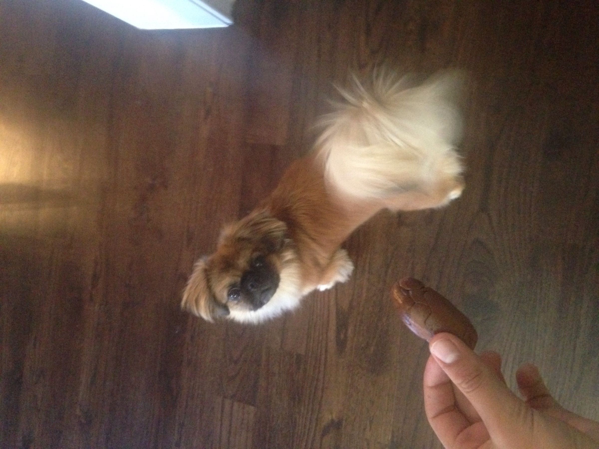 Tootsie Roll Poop Prank - Instructables