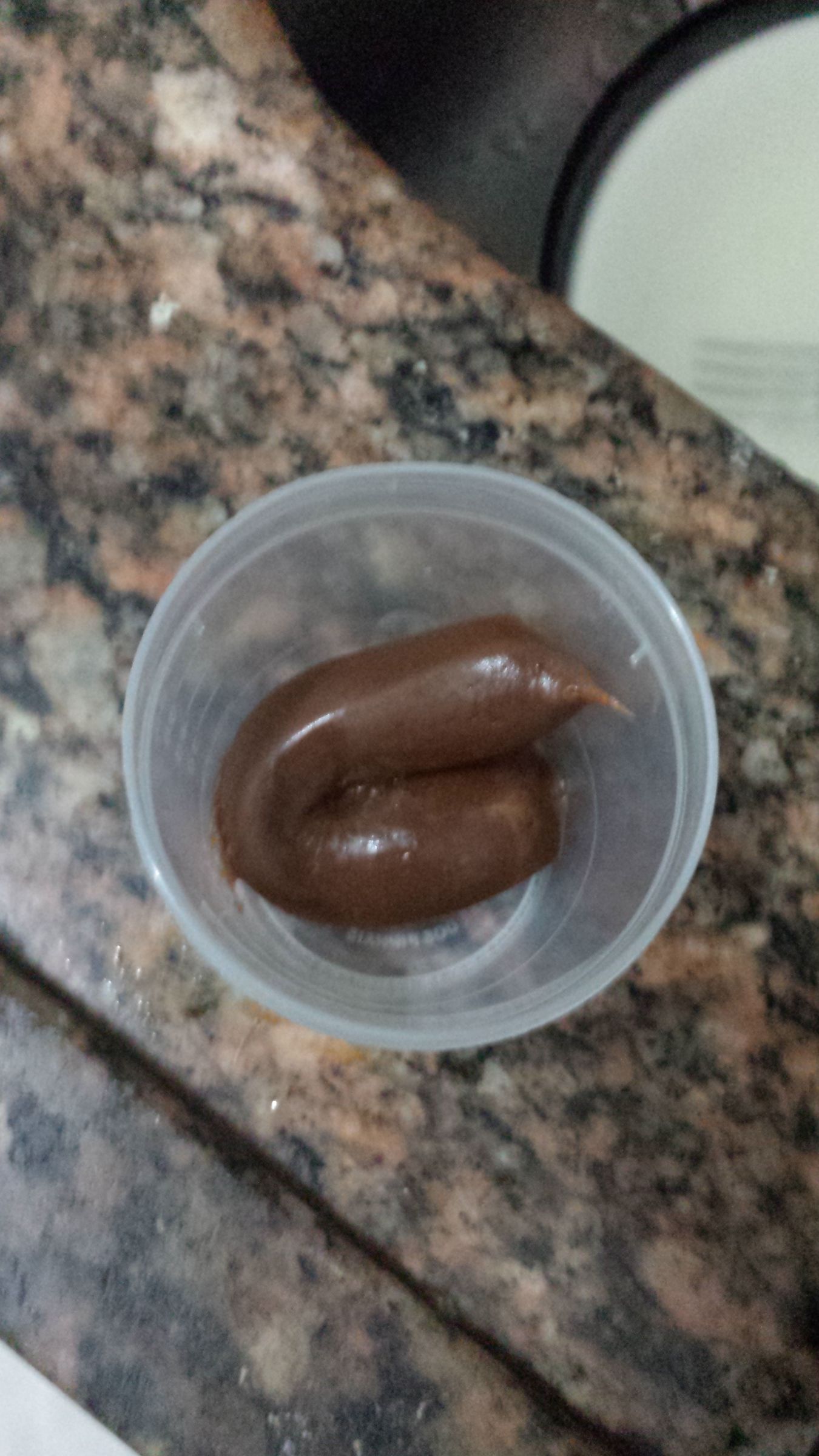 Poop and Urine Prank : 4 Steps - Instructables